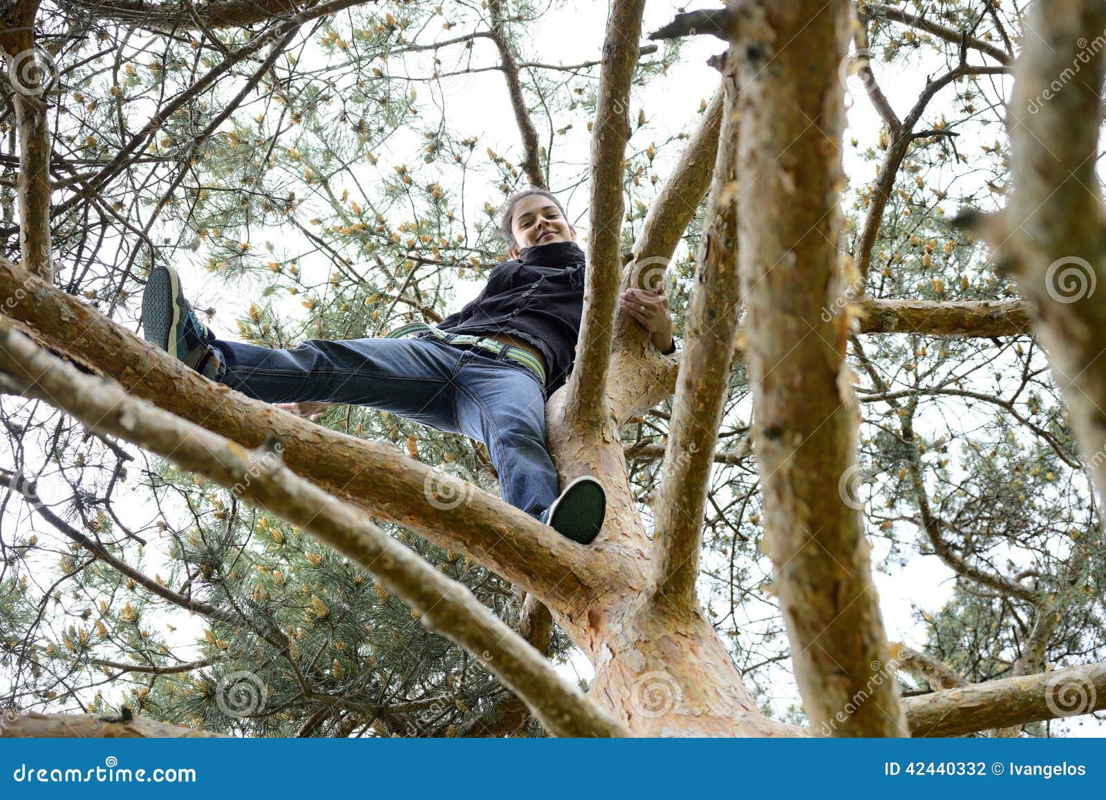 Beautiful Young Woman Looking Down from a Tall Tree Stock Photo - Image ...