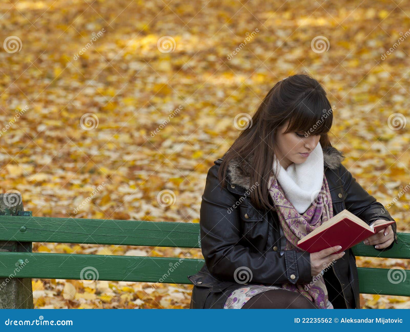 Beautiful Young Woman Reads Book Stock Photo - Image of book, beauty ...