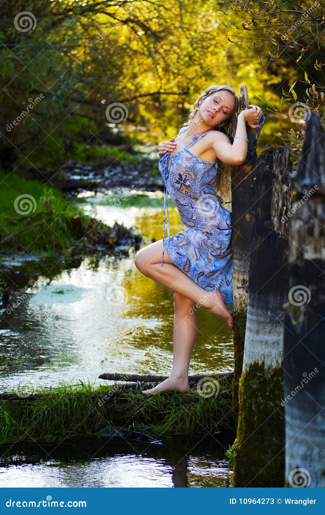 Beautiful Young Woman Relaxing on Nature. Stock Image - Image of ...