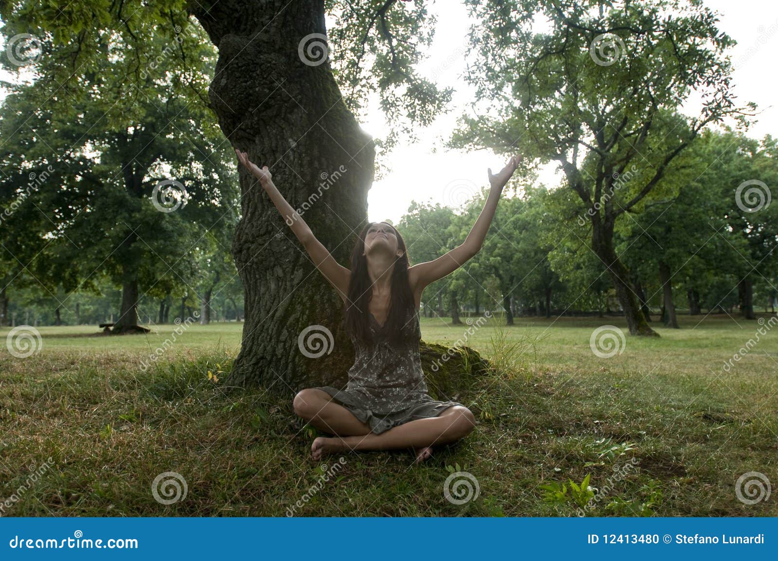 Beautiful Young Woman Sit Under a Tree Stock Photo - Image of freedom ...