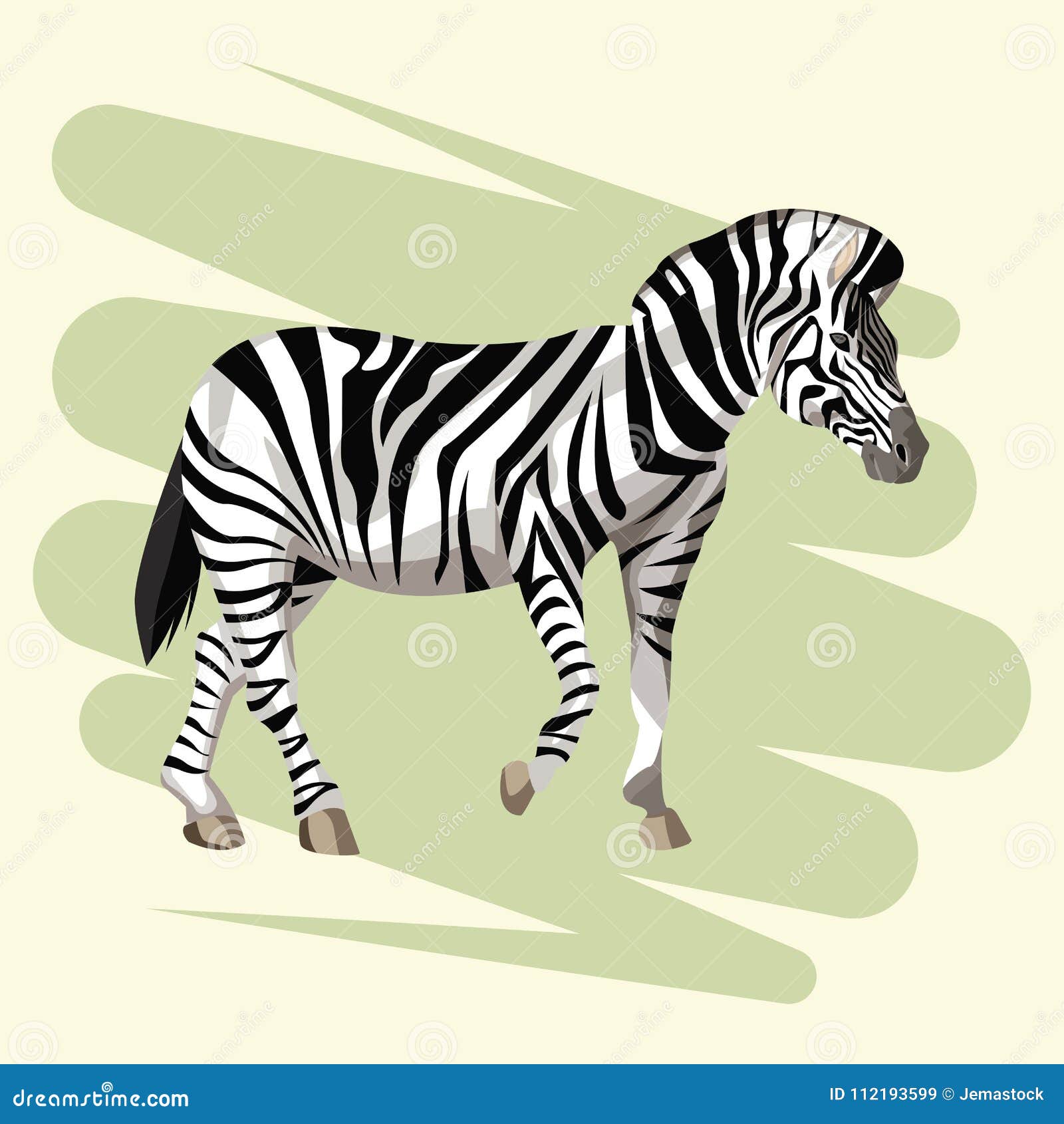 Beautiful zebra drawing stock vector. Illustration of silhouette ...