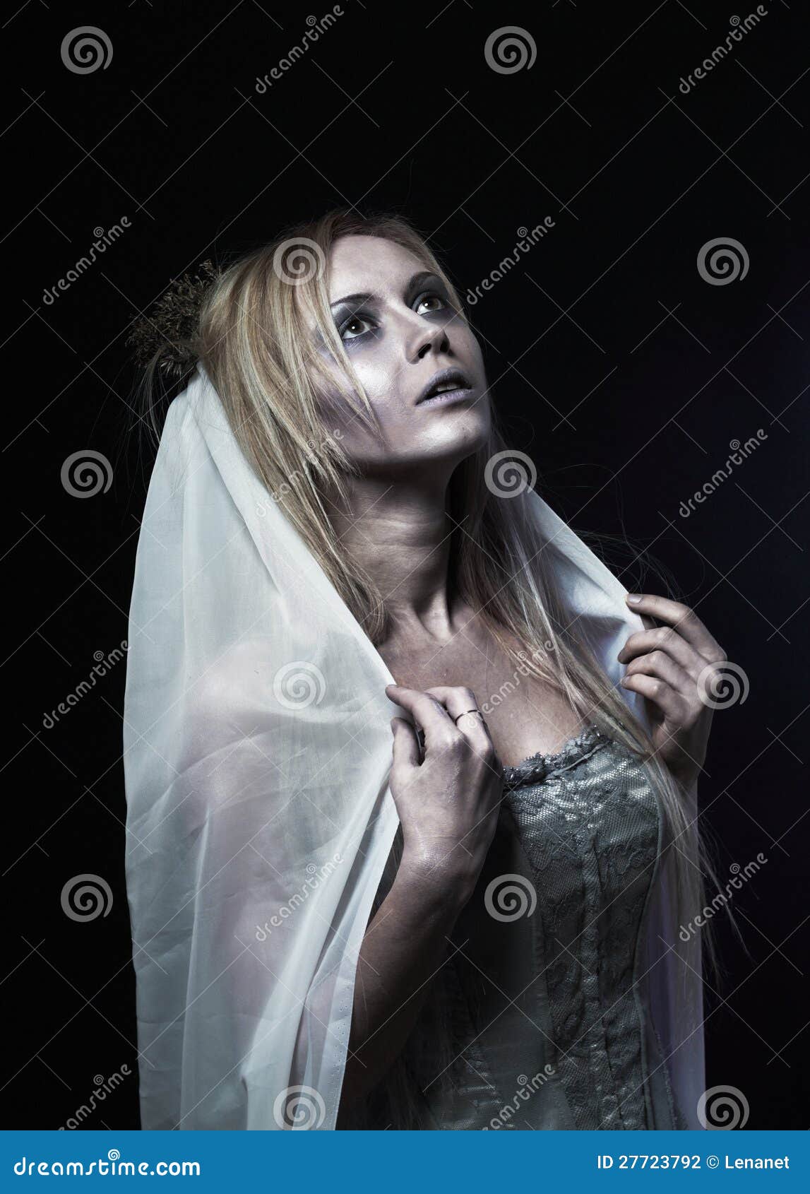 Corpse Bride Stock Photo | CartoonDealer.com #33598638