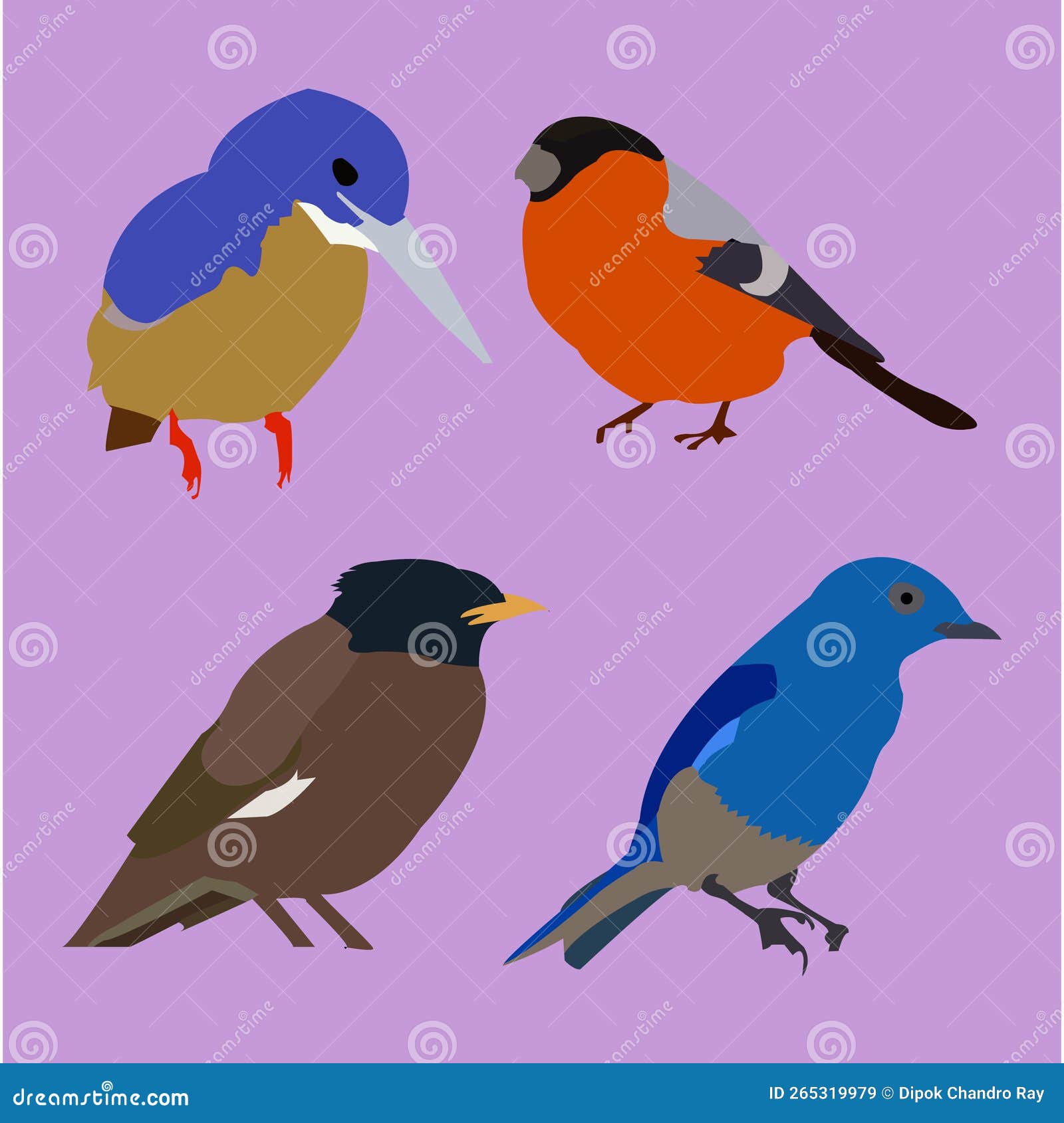 Beautifull Birds Vector Avatar Art Stock Vector - Illustration of ...