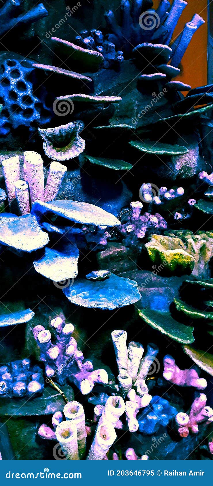 Beautifull Coral View in the Sea Stock Image - Image of coral, flower ...