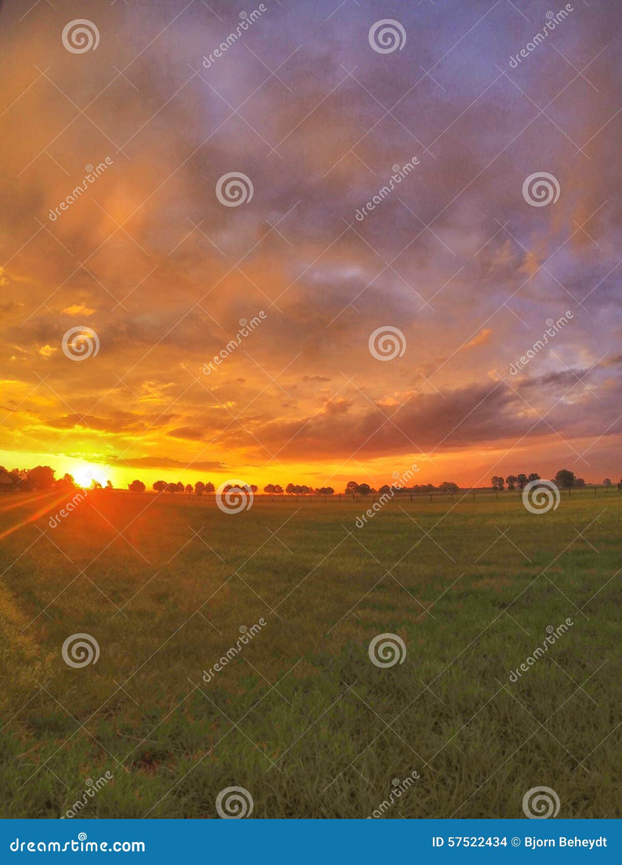 Beautifull Dramatic Sunset Over a Field Stock Photo - Image of gold ...
