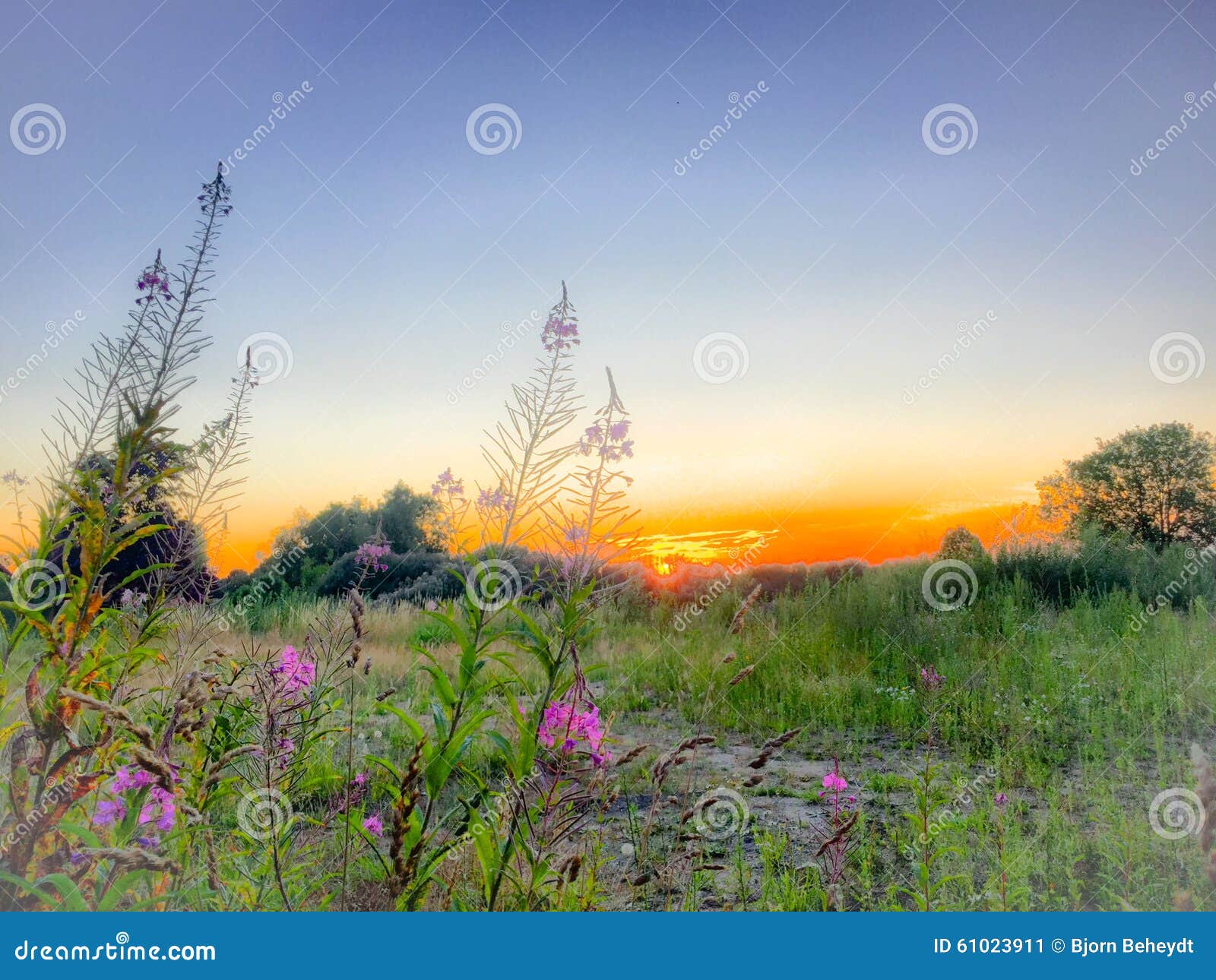 Beautifull Dramatic Sunset Over a Field Stock Image - Image of colorful ...