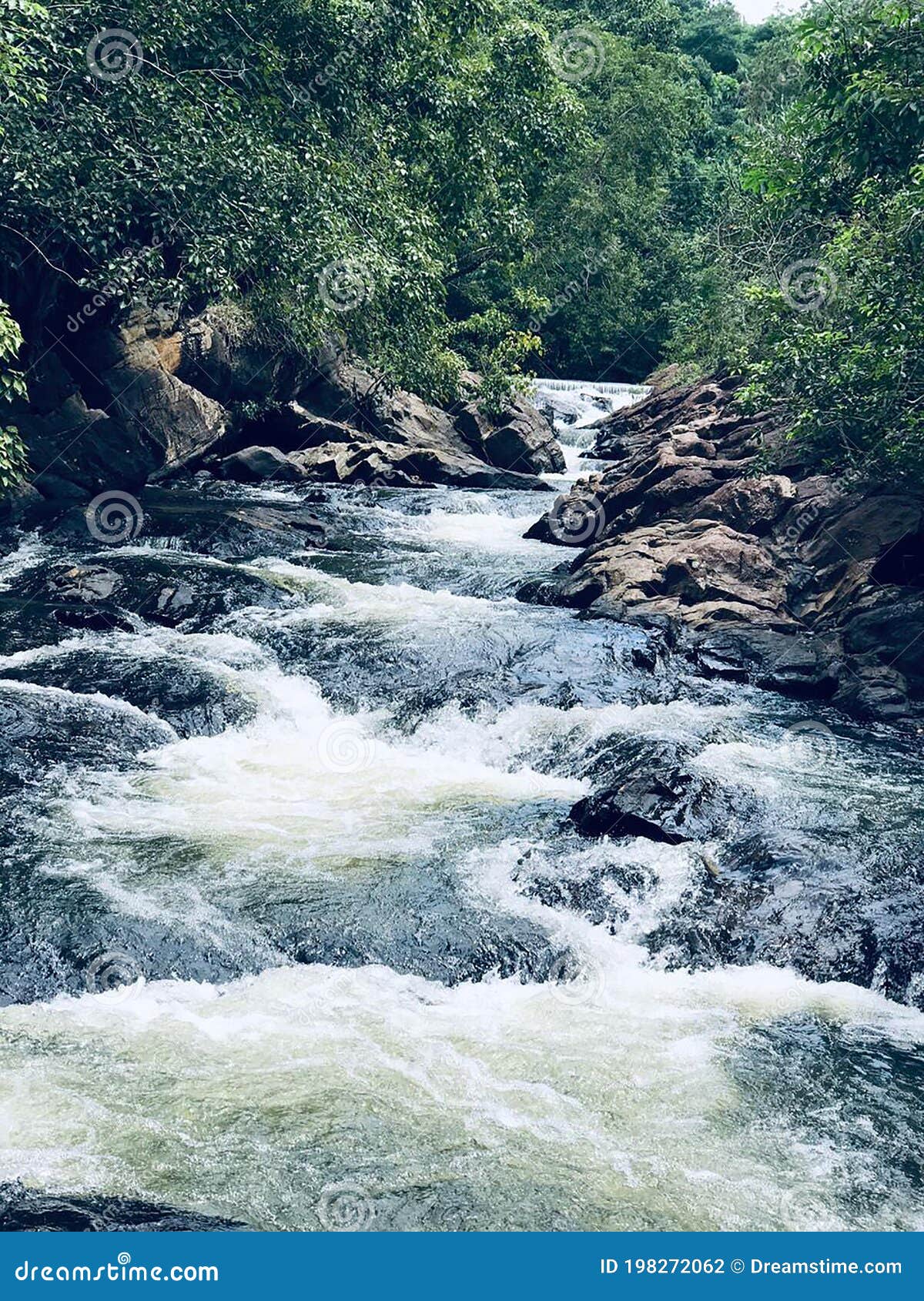 Beautifull River in Sri Lanka 1 Stock Photo - Image of england, lake ...