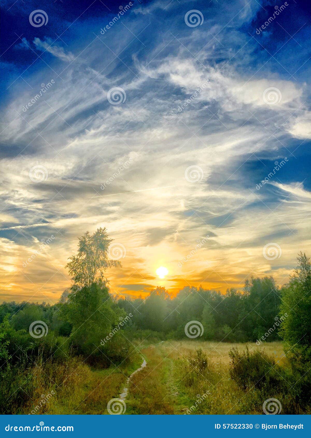 Beautifull Sunset Over a Forest Stock Photo - Image of cloud, grey ...