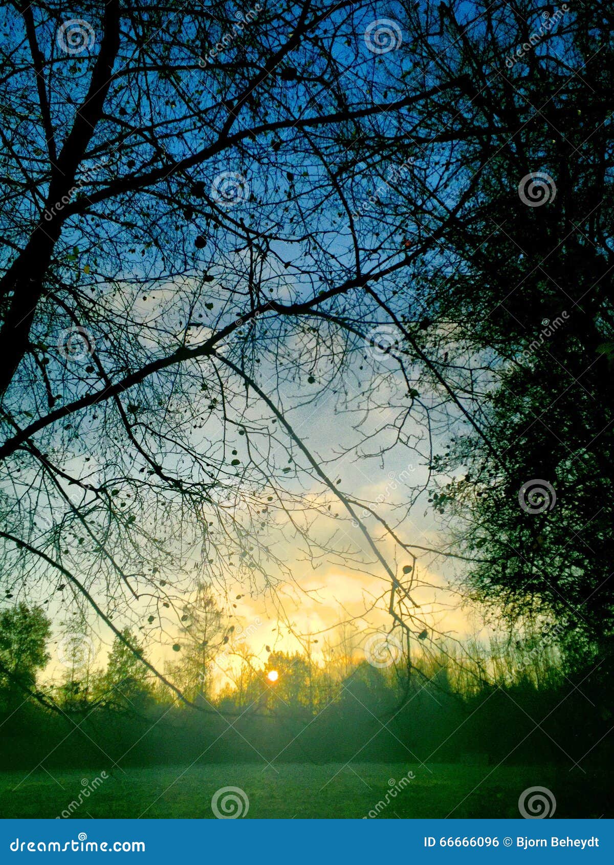 Beautifull Sunset Over a Forest Stock Photo - Image of cloud, black ...