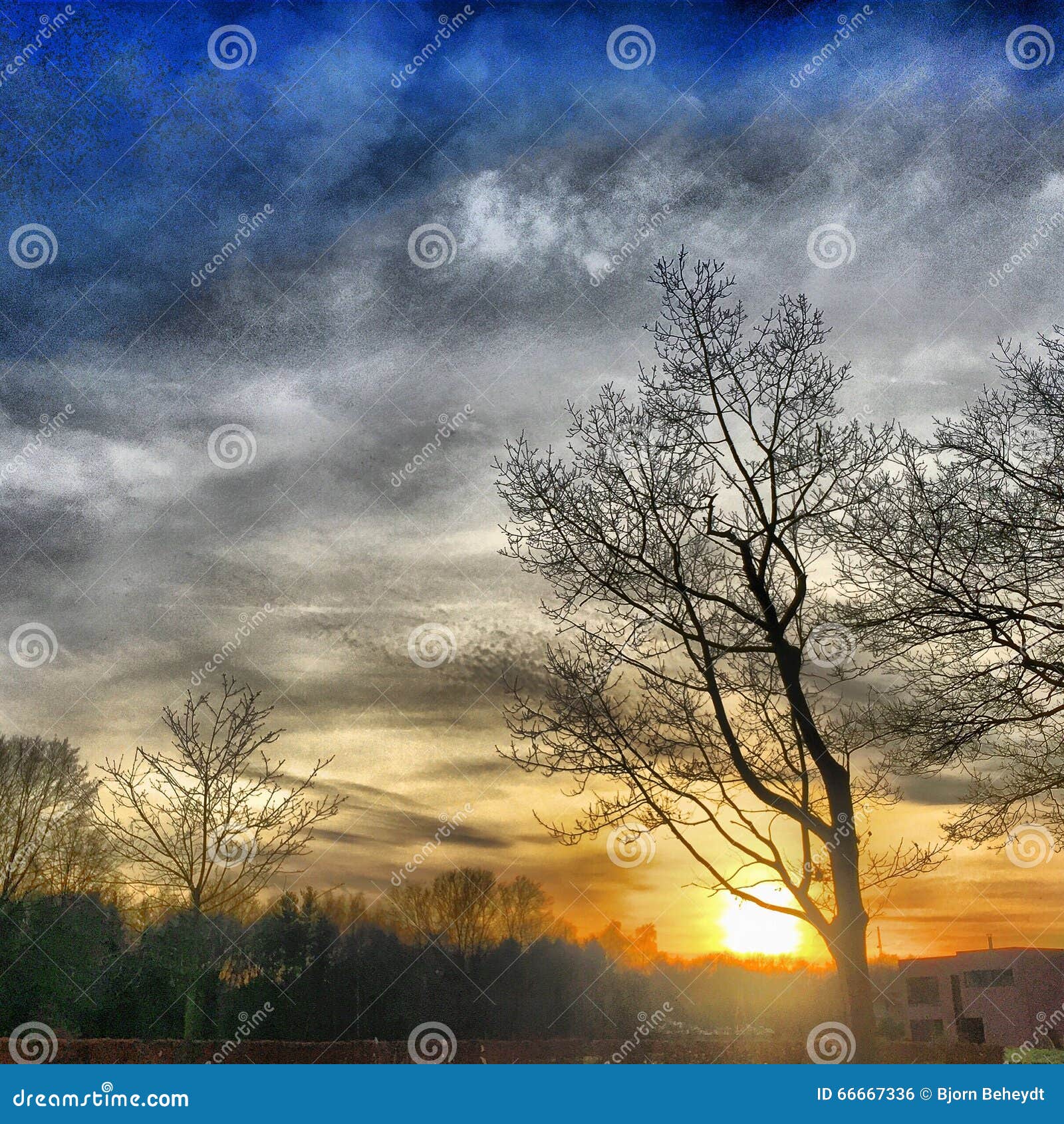 Beautifull Sunset Over a Forest Stock Photo - Image of dark, black ...