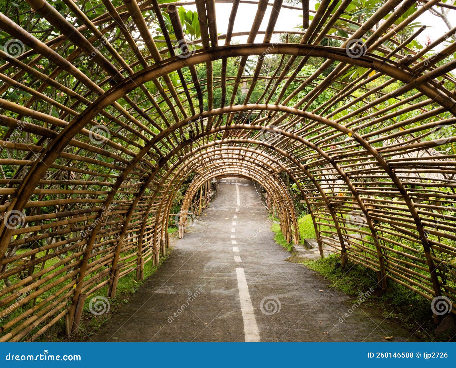 Beautifull Tunnel that Made from Bamboe Stock Photo - Image of abstract ...