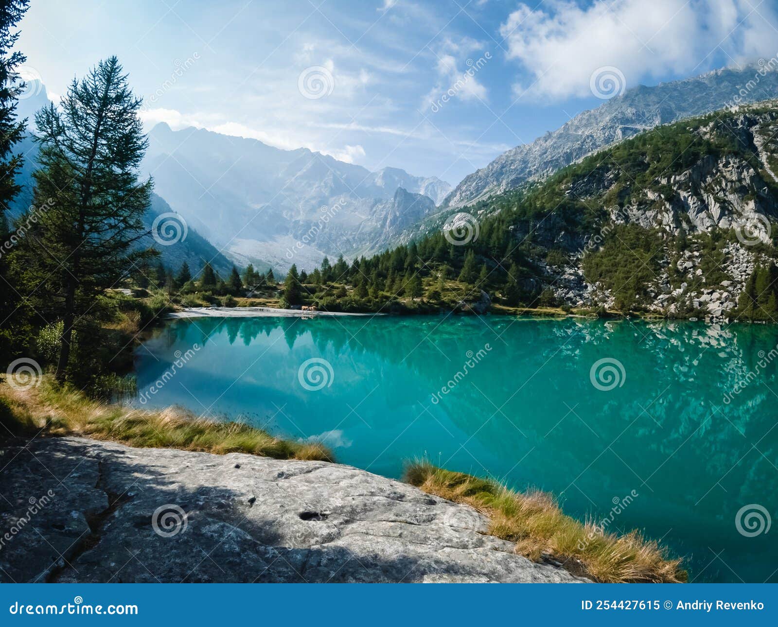 A Beautifull View on the Aviolo Lake. Stock Image - Image of beautiful ...