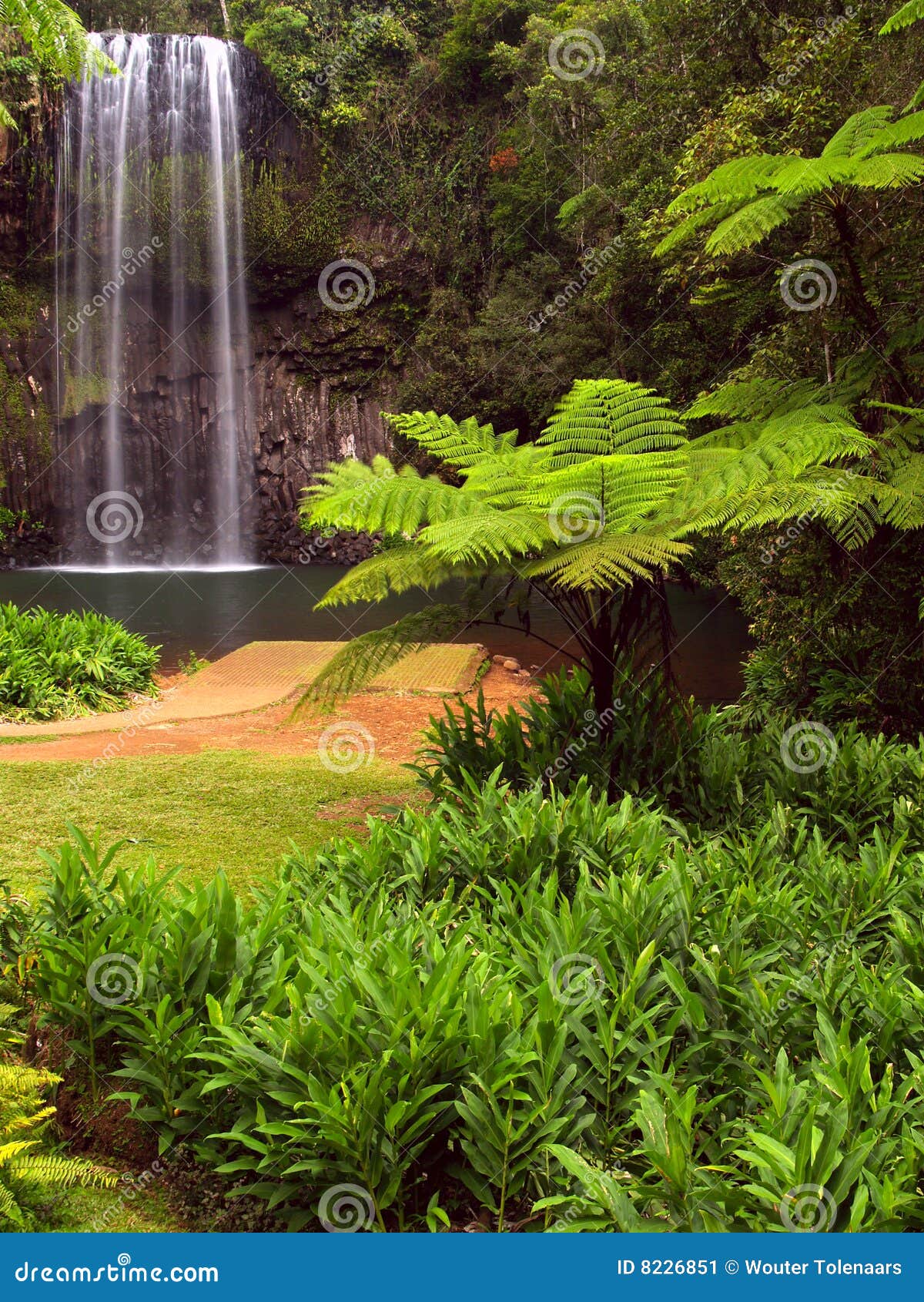 Beautifull Waterfall in Queensland, Australia Stock Image - Image of ...