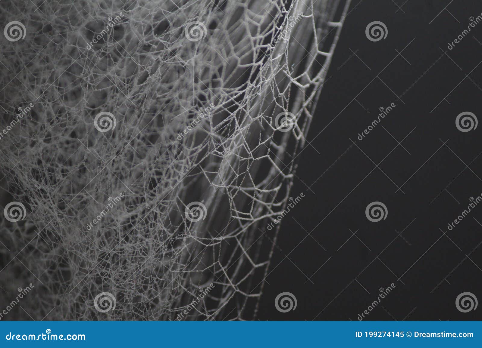 Beautifully complex webs stock image. Image of nature - 199274145