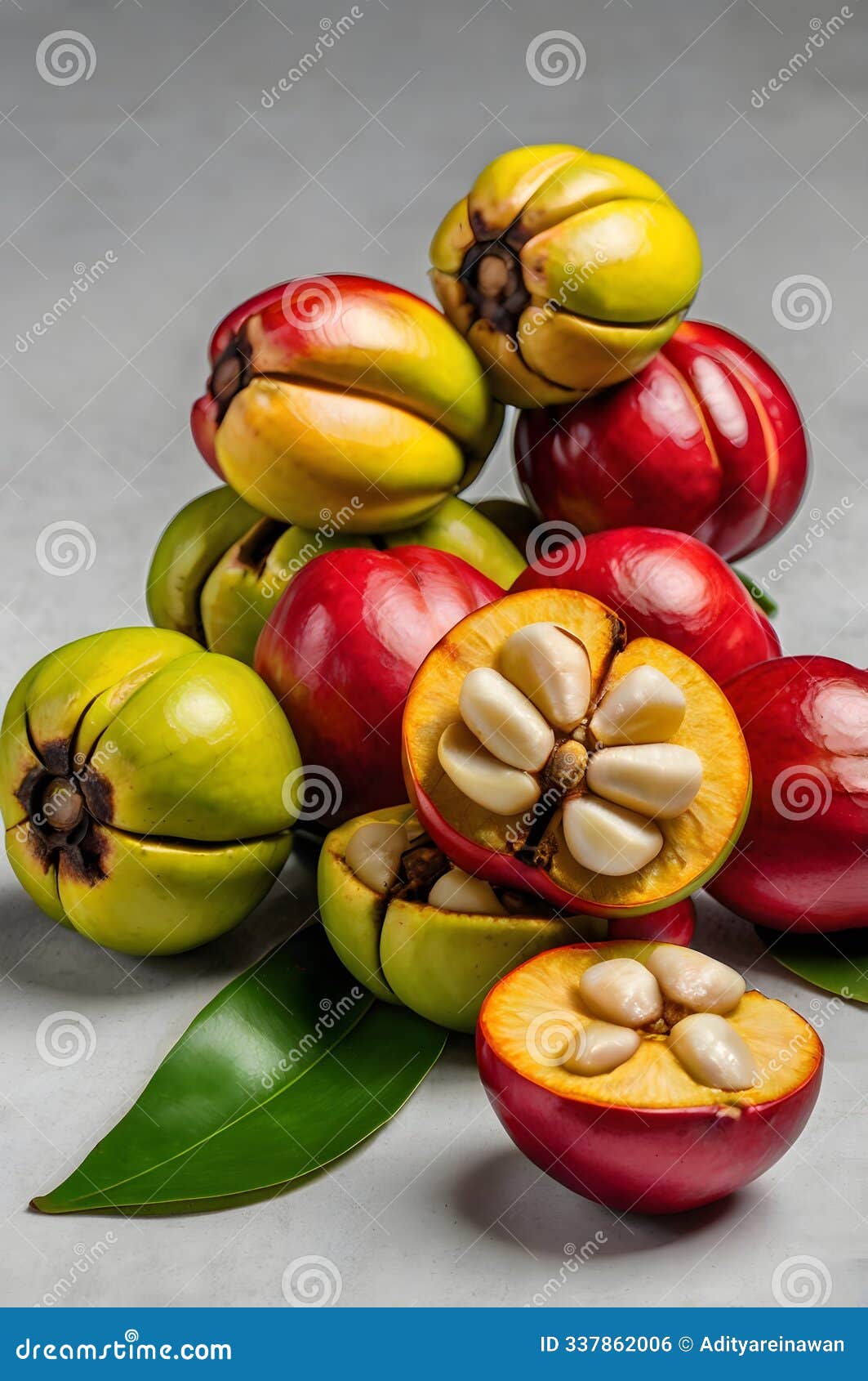 Ackee Fruit Still Life Minimalist Avatar on White Background Stock ...