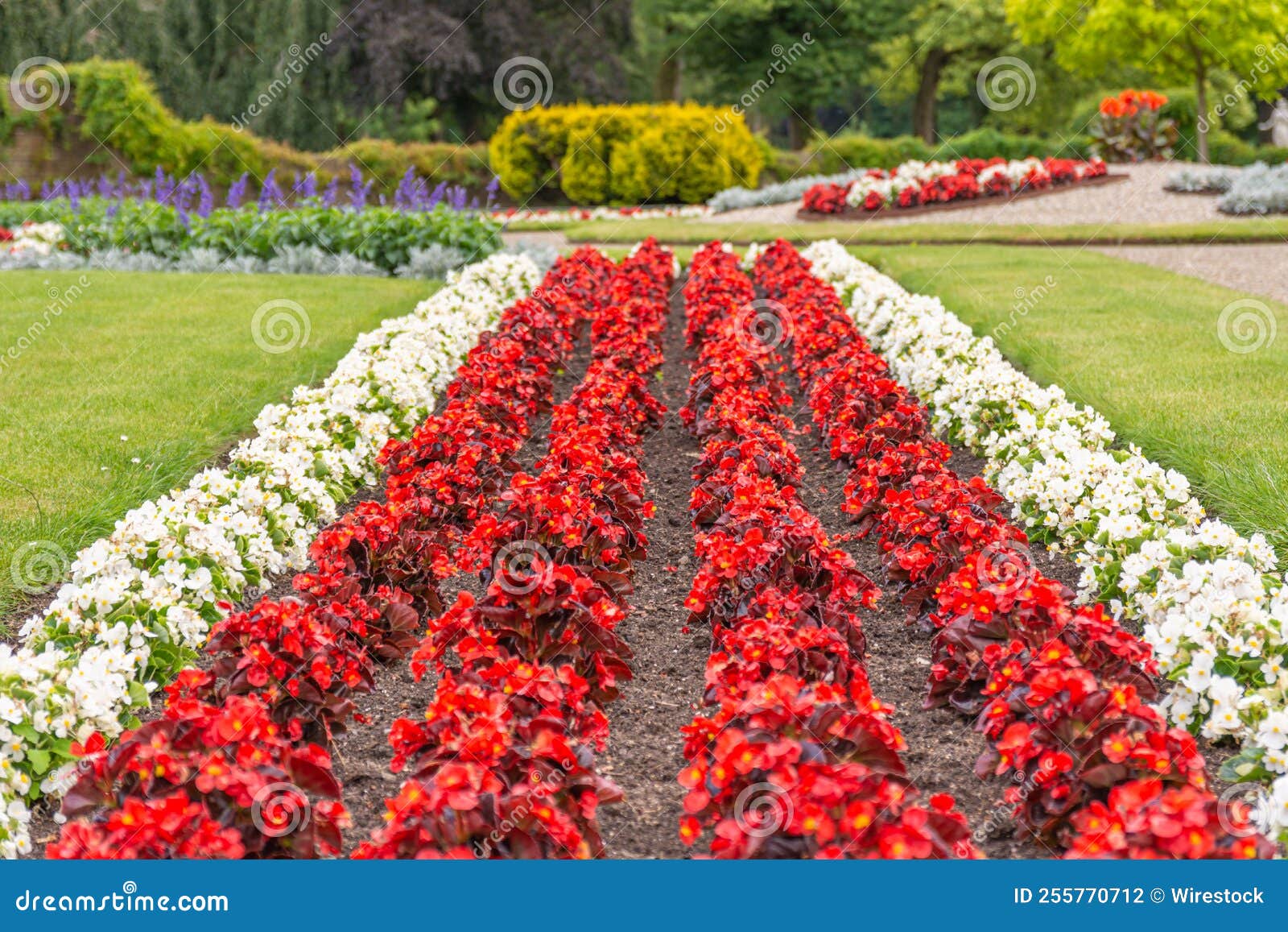 Beautifully Designed Park with Flowers in the Sunlight Stock Photo ...