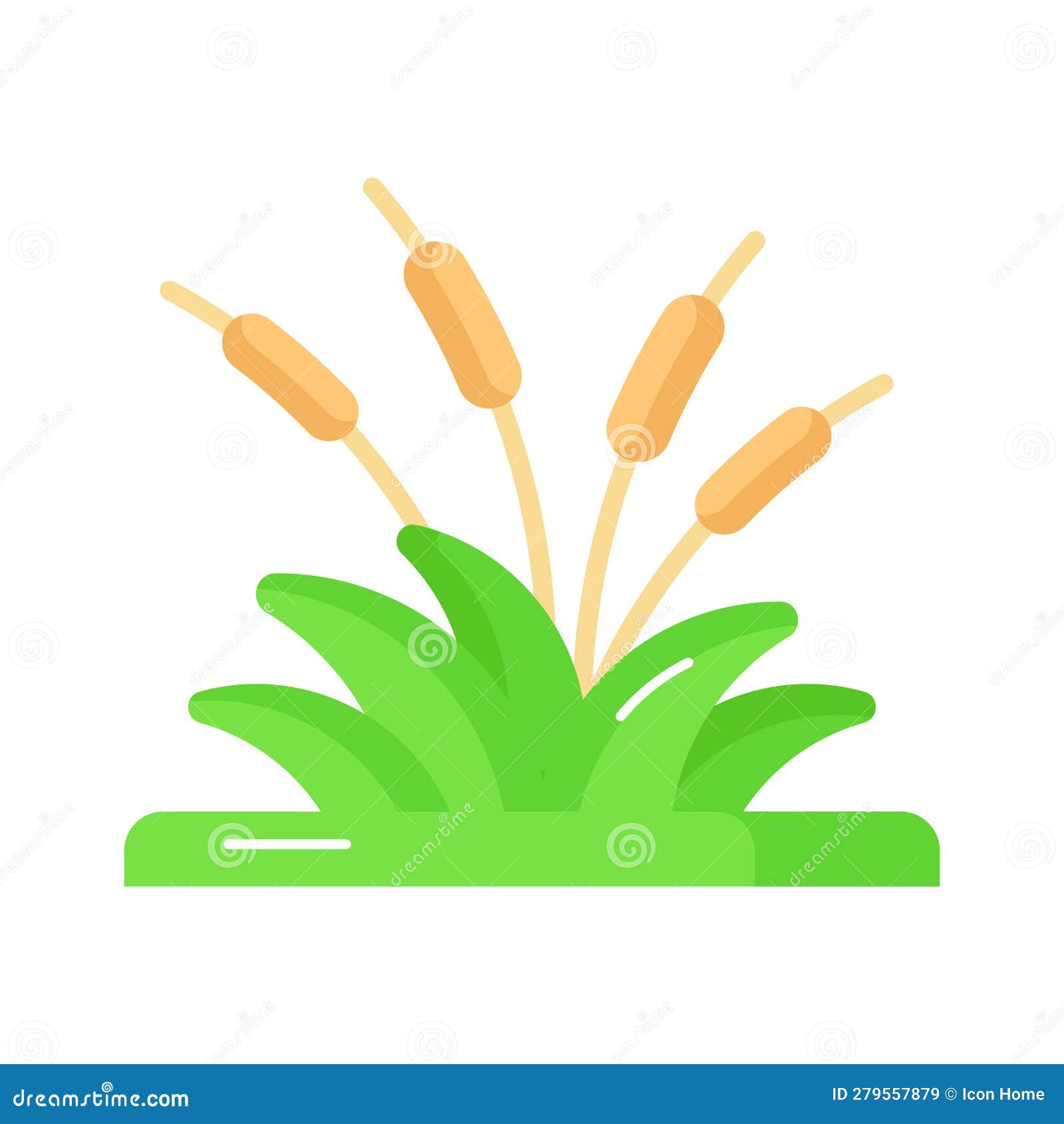 Beautifully Designed Vector of Reed in Editable Style, Ready To Use ...
