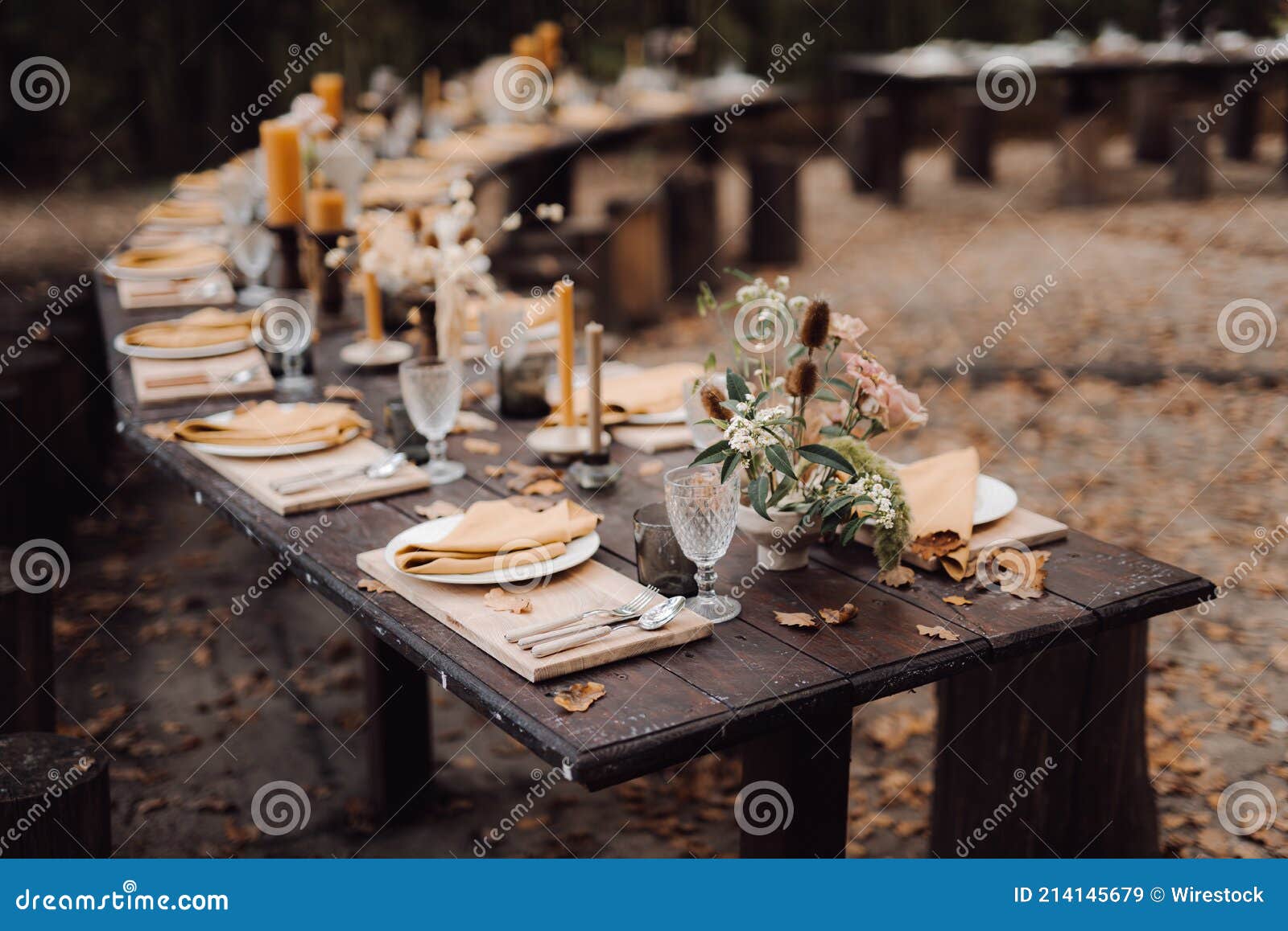 Beautifully Designed Wedding Table in the Forest Stock Image - Image of ...