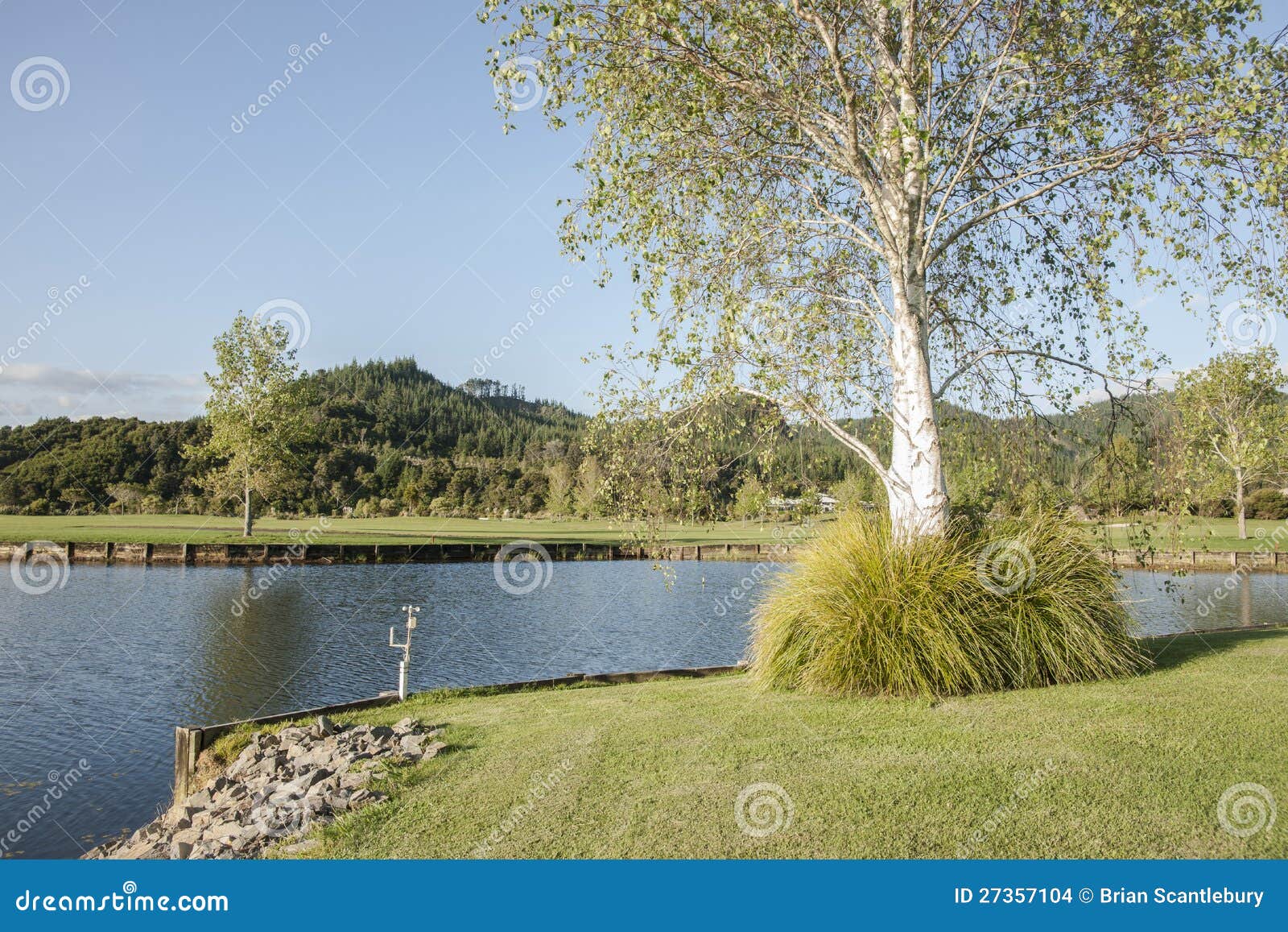 Beautifully Landscaped Grounds. Stock Photo - Image of grass, tree ...