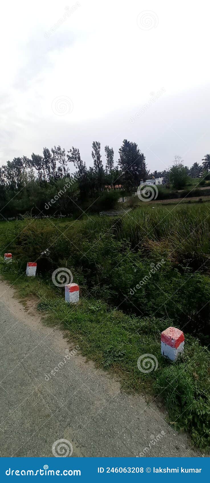 Beautifully road side stock photo. Image of beautifully - 246063208