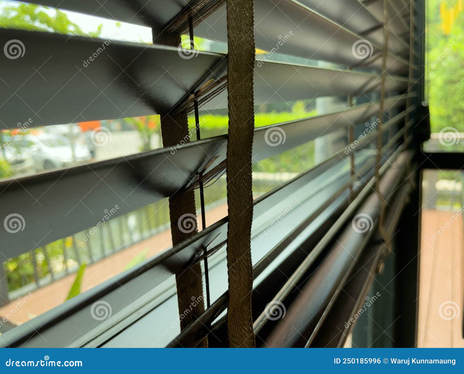 Beautifully Shaped Pull-out Blinds are Installed To Block Out the ...