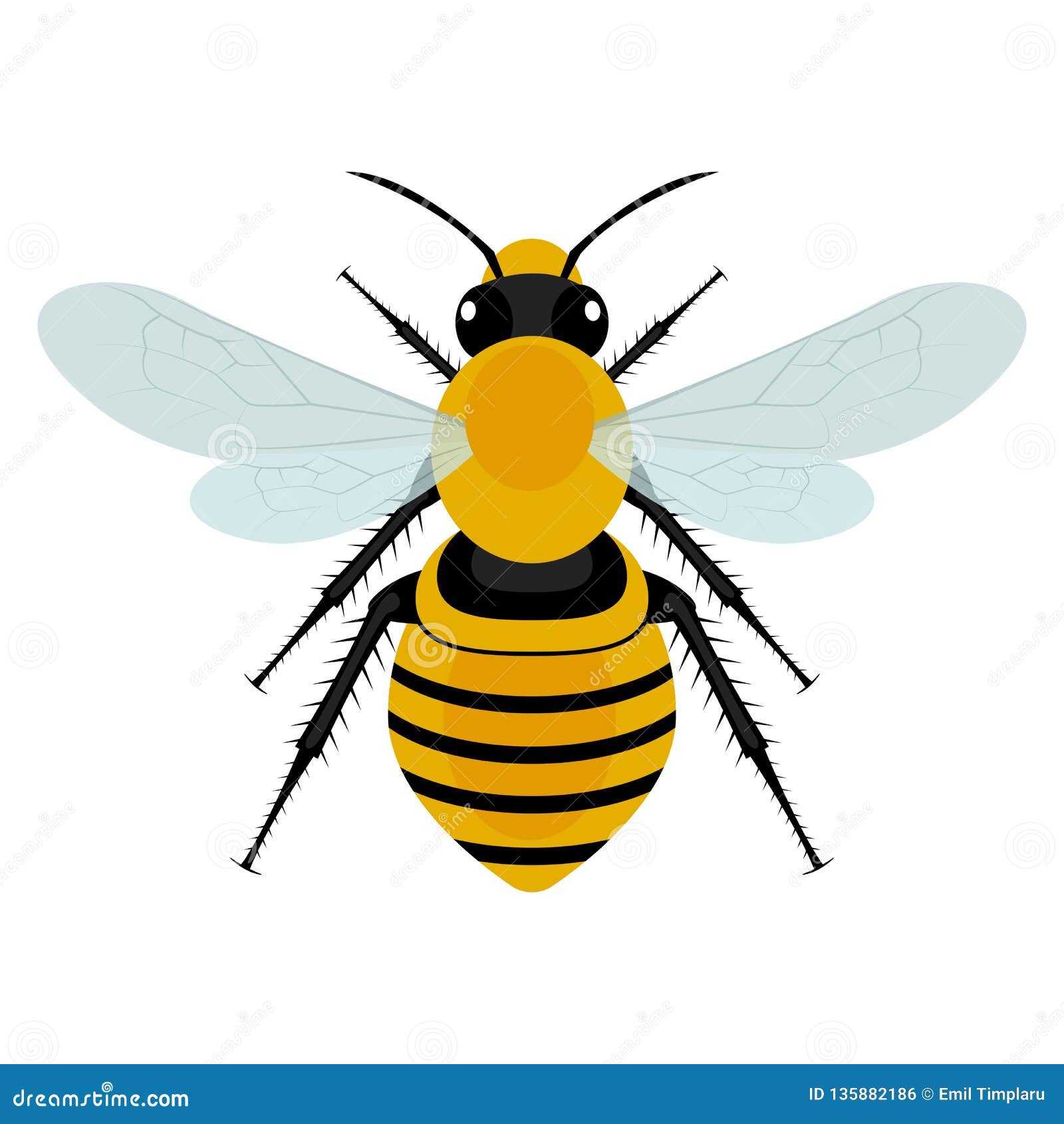 Bee Vector Design Illustration Stock Vector - Illustration of white ...