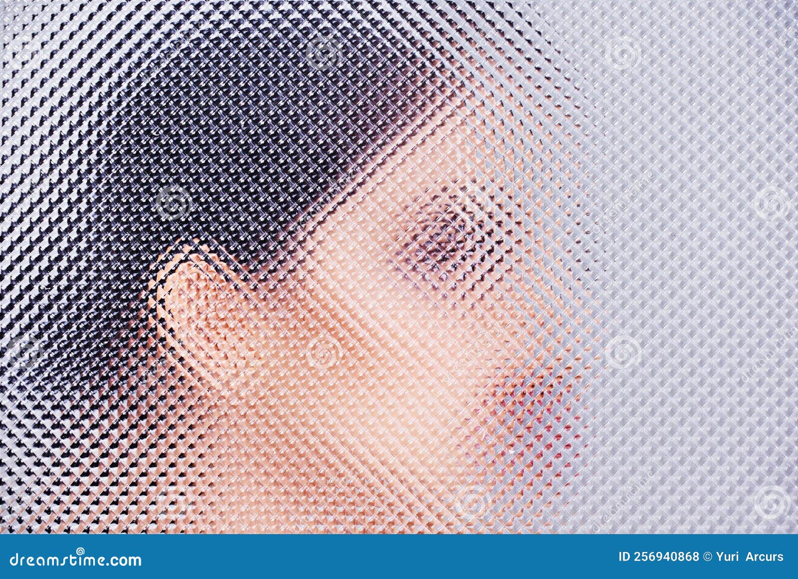 The Beauty Behind. a Woman Posing Behind a Blurred Screen. Stock Photo ...