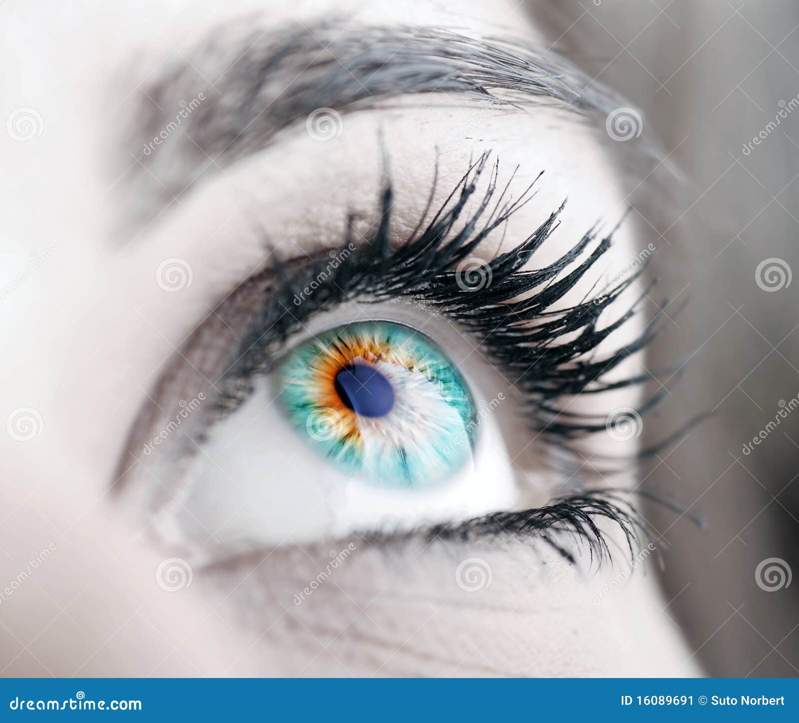 Beauty big eye stock image. Image of makeup, glance, eyeshadow - 16089691