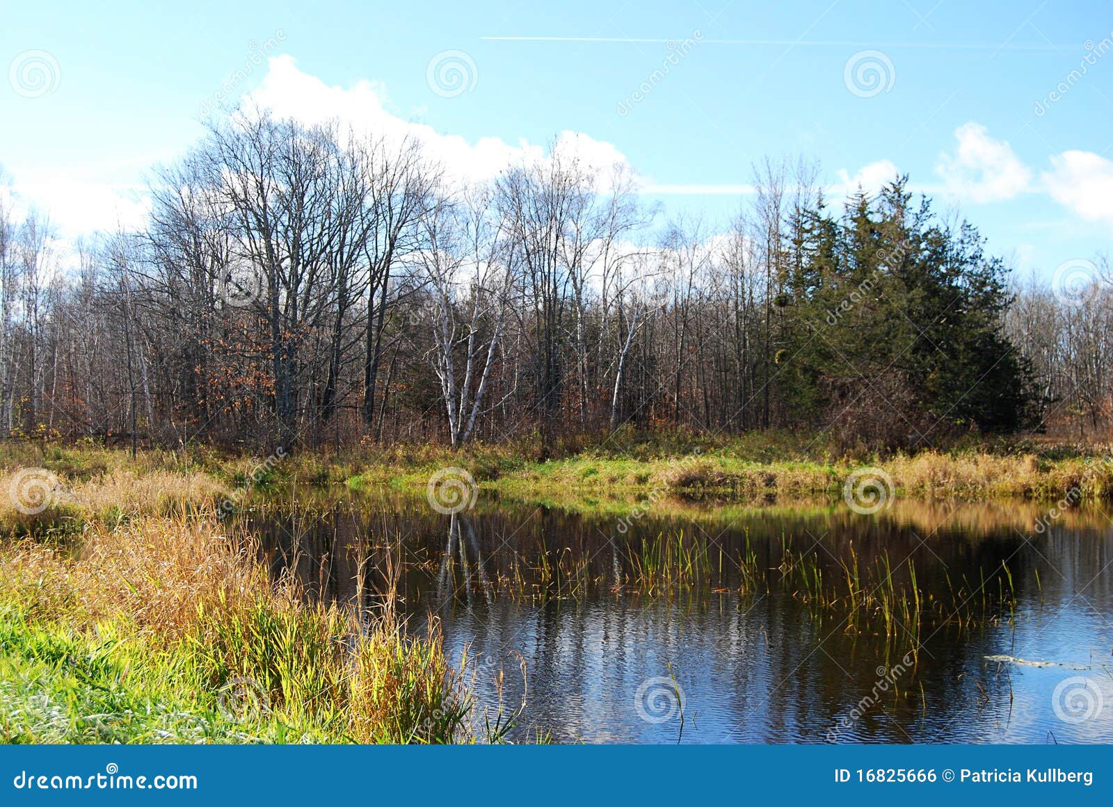 Beauty in the Bleak Fall stock photo. Image of serene - 16825666
