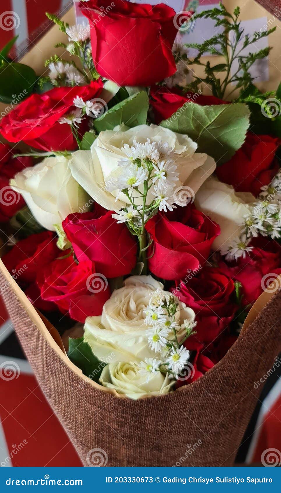 Beauty Blend of Red Roses and White Roses. Stock Image - Image of ...