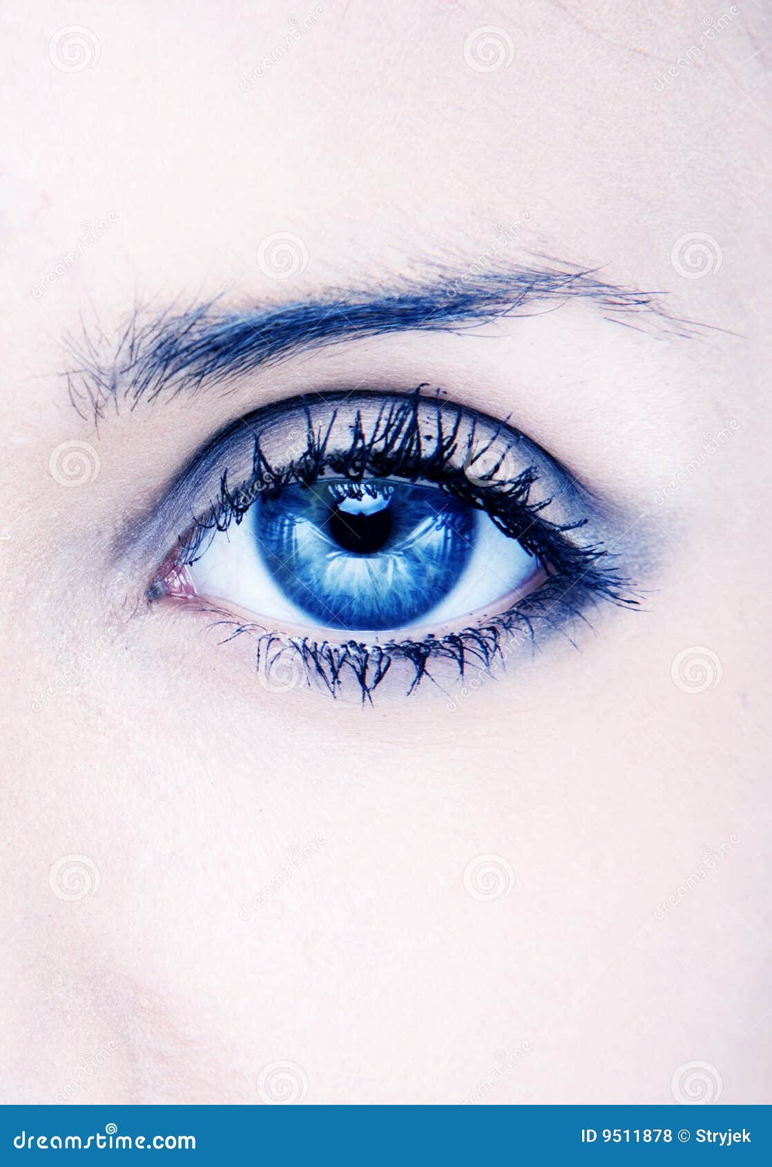 Beauty blue eye stock photo. Image of clarity, eyelashes - 9511878