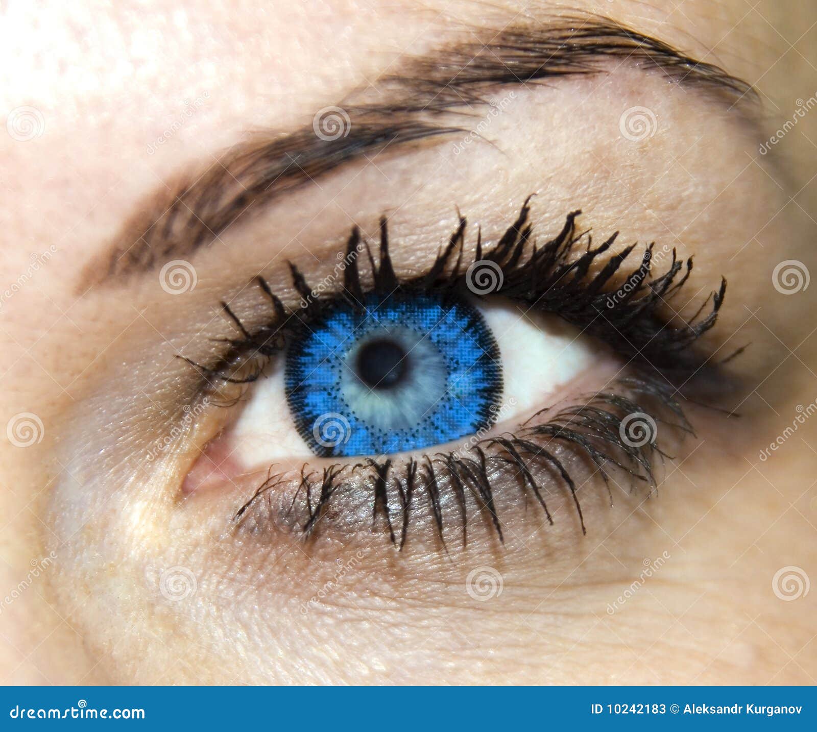 Beauty blue woman eye stock image. Image of elements - 10242183