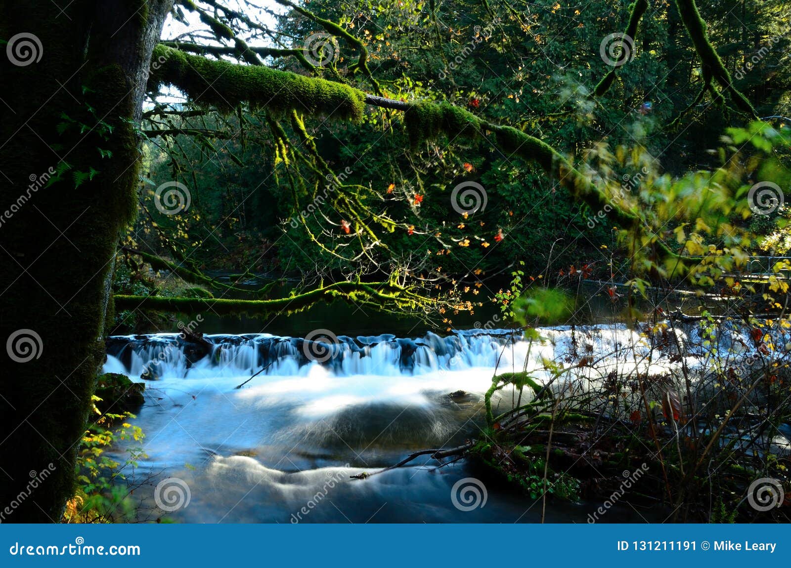 The beauty of a brook stock image. Image of beautiful - 131211191