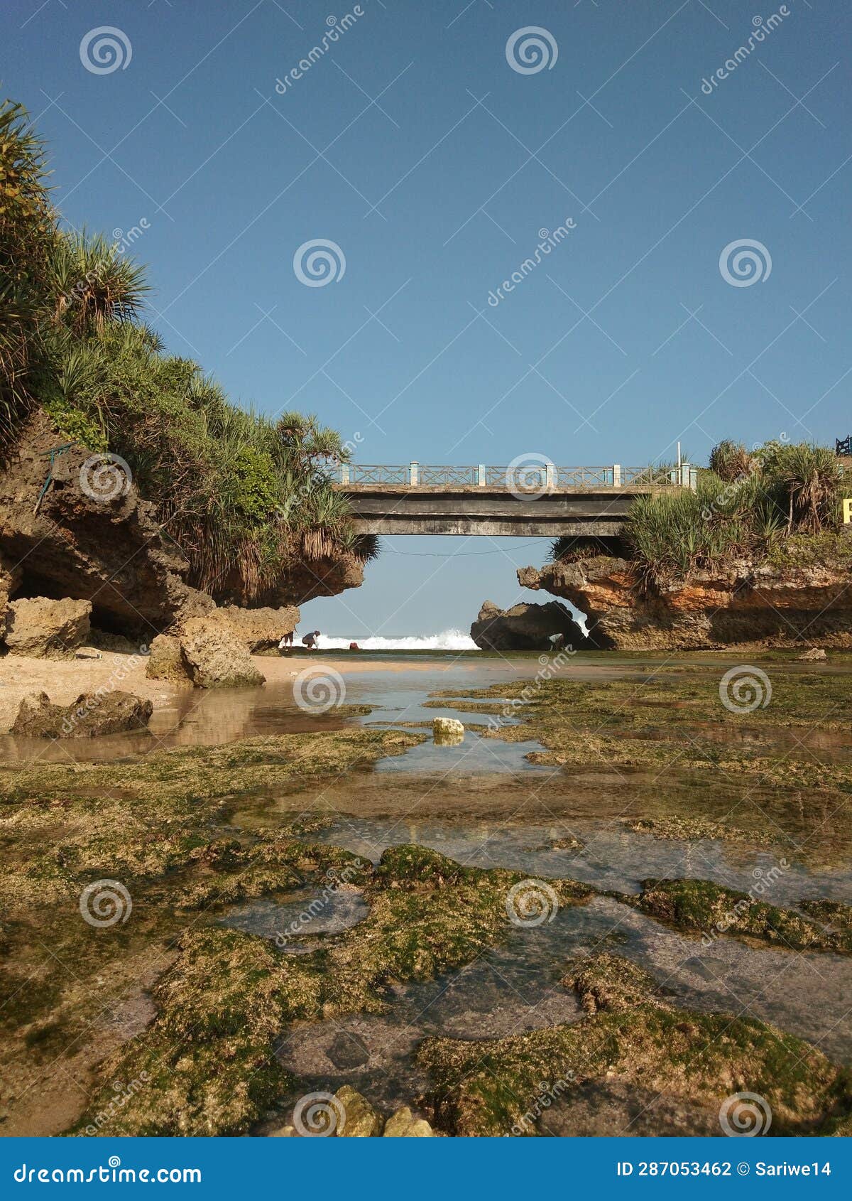 The Beauty of the Coral Reef Scenery in Indonesia is Unquestionable ...