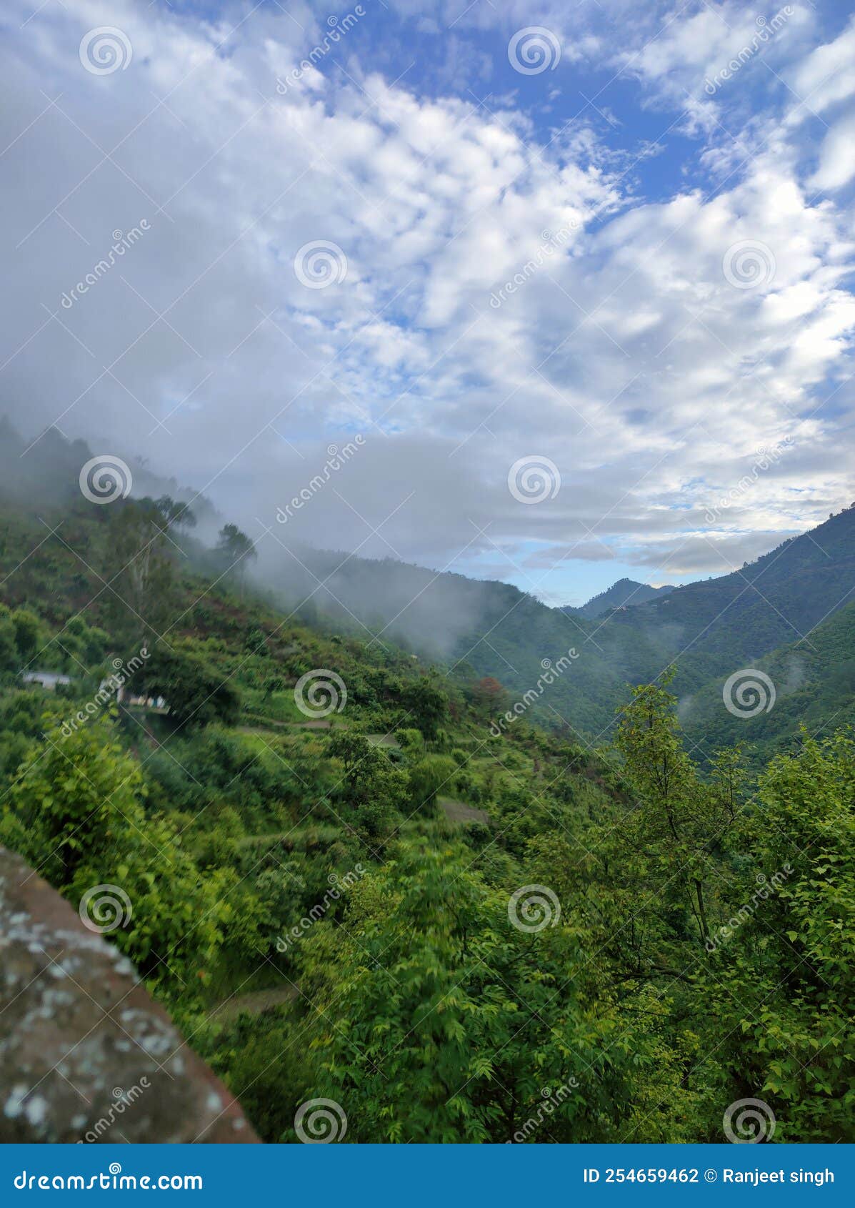 Beauty of the Earth Uttarkhand Nature Trend Stock Photo - Image of ...