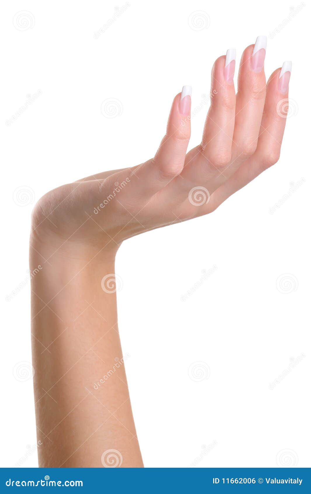 Beauty elegant woman hand stock photo. Image of palm - 11662006