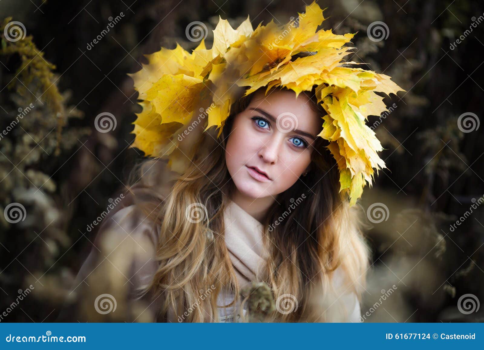 Beauty in fall stock photo. Image of closeup, fall, modern - 61677124