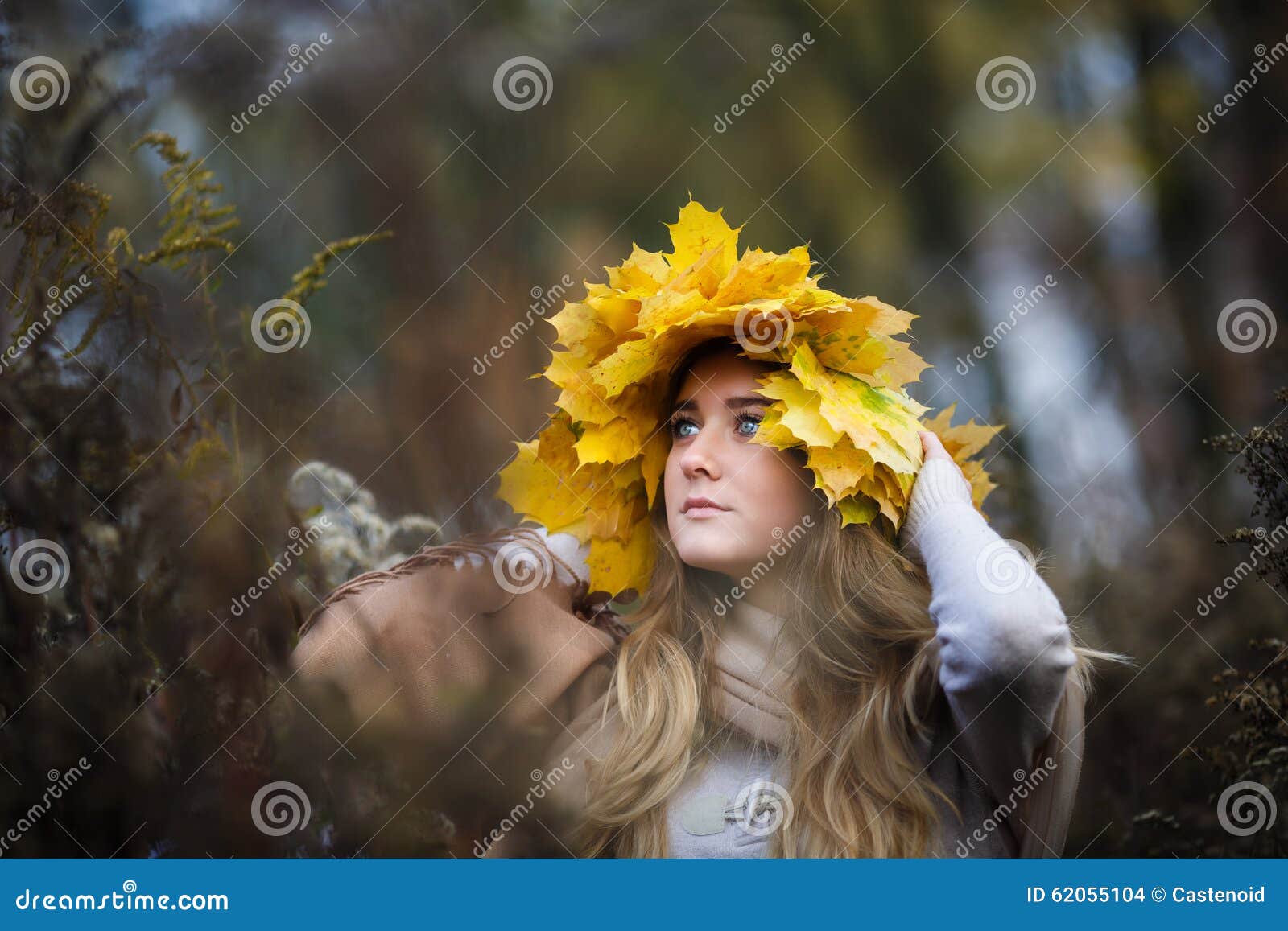 Beauty in fall stock photo. Image of amazing, head, nymph - 62055104