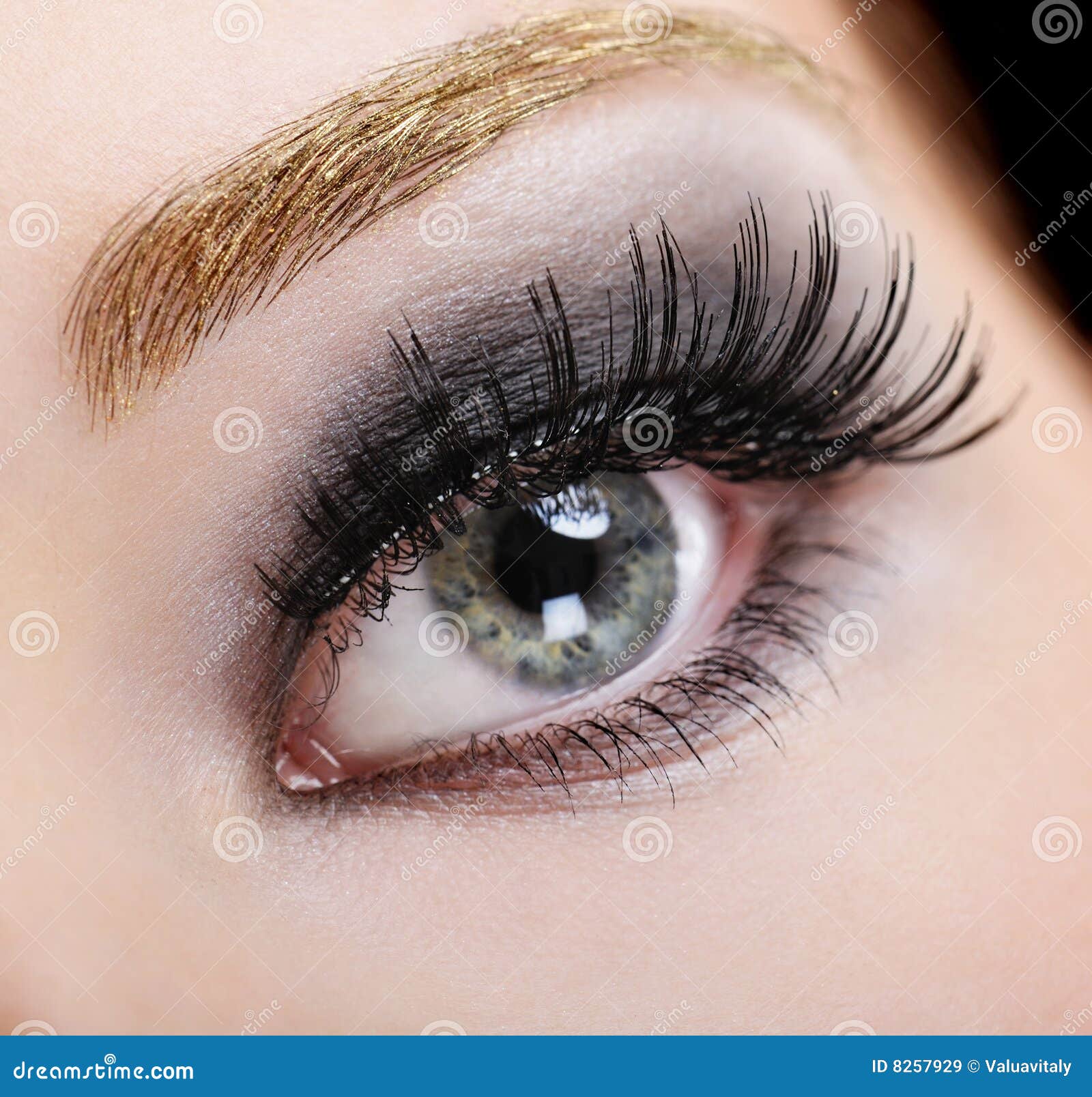 Beauty false eyelashes stock image. Image of close, look - 8257929