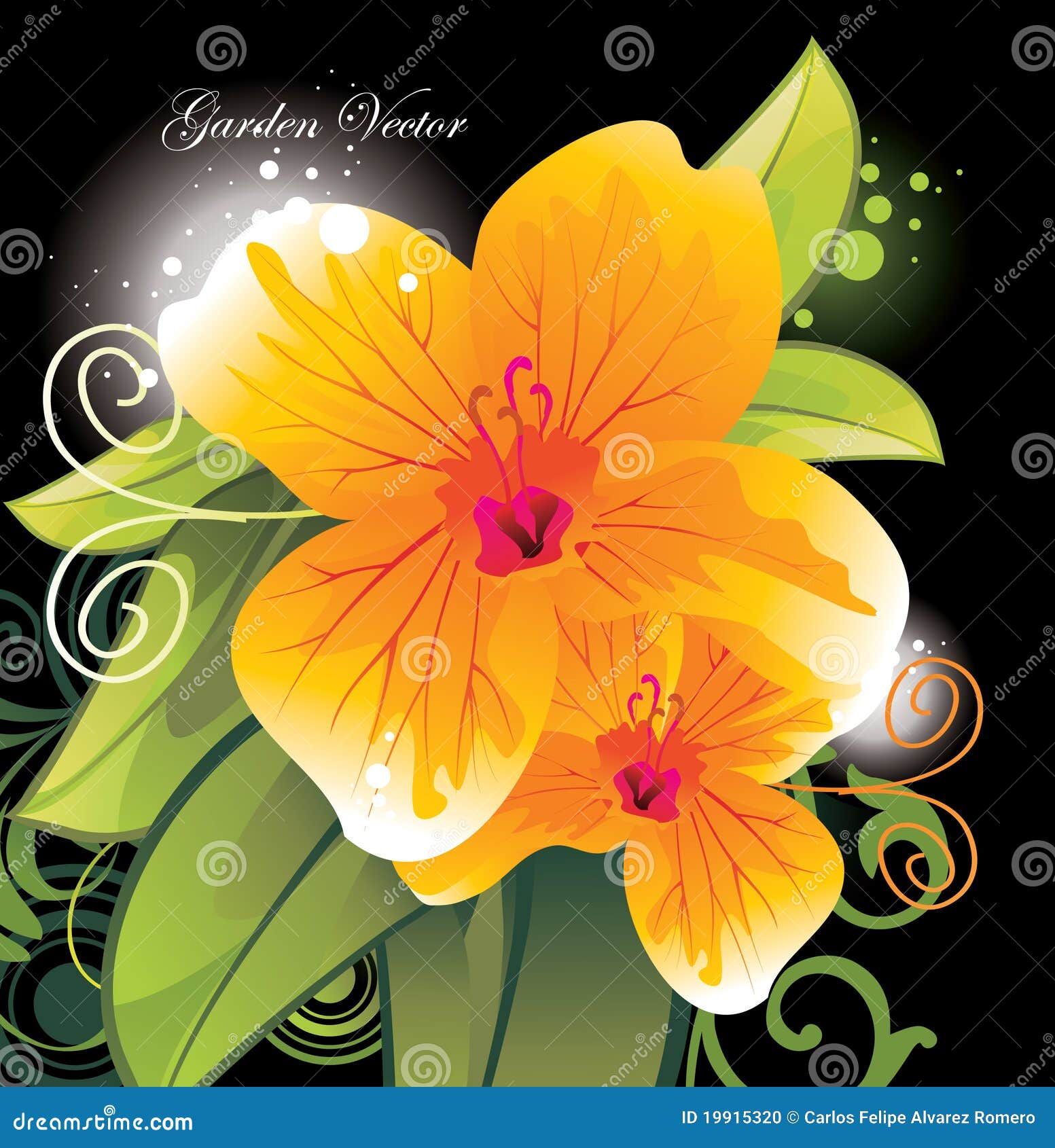 Beauty flower close up stock vector. Illustration of texture - 19915320