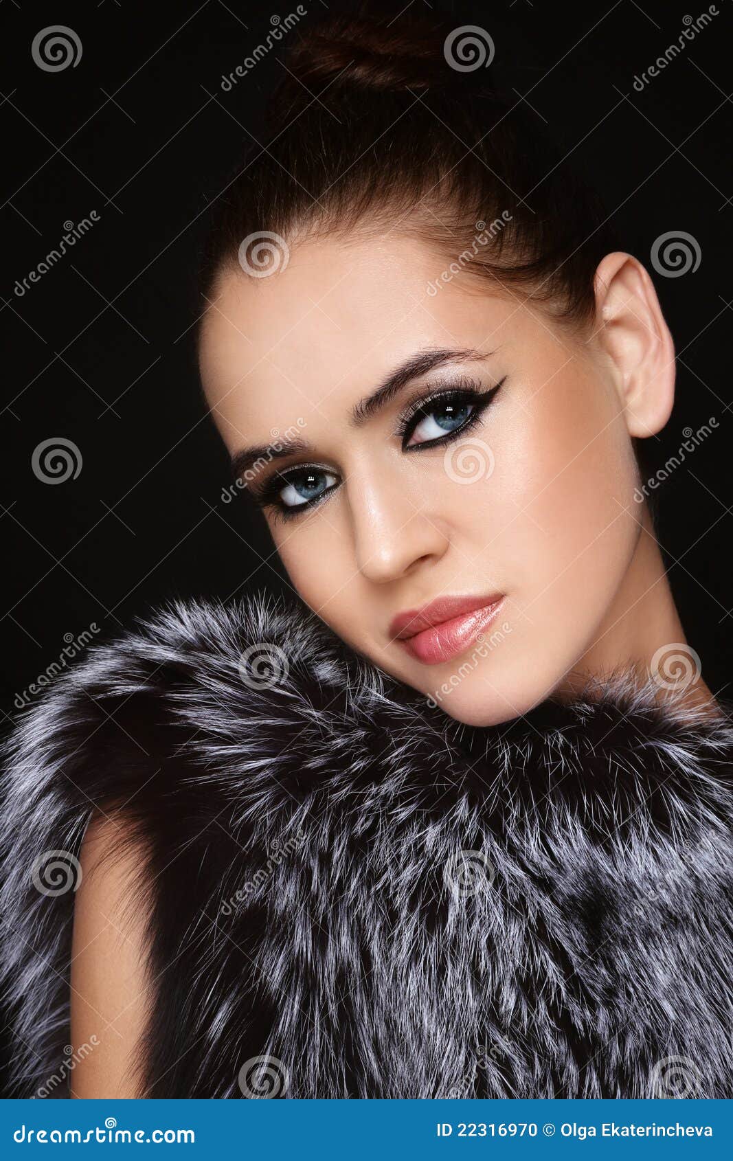 Beauty in fur stock photo. Image of glamour, elegance - 22316970