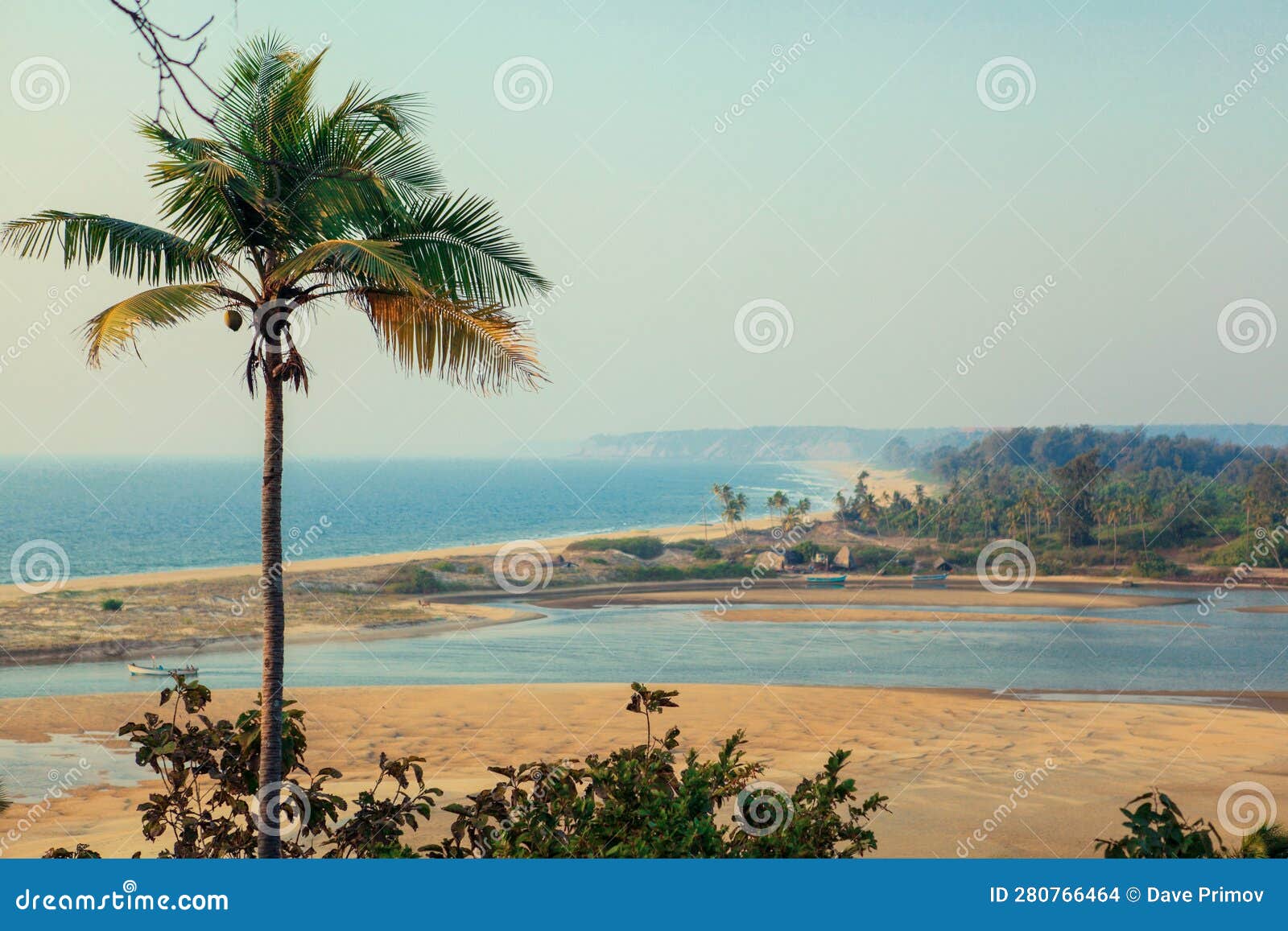 Beauty of Goa Nature with Palm Trees and Beach Stock Photo - Image of ...