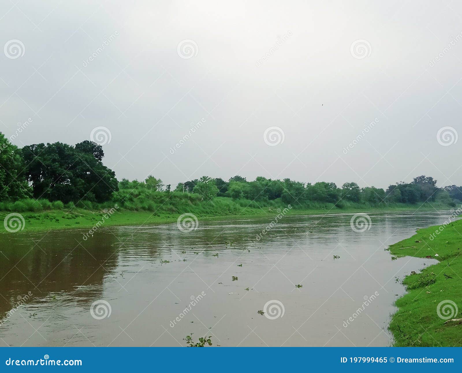 Beauty of the gomti river stock image. Image of rivern - 197999465
