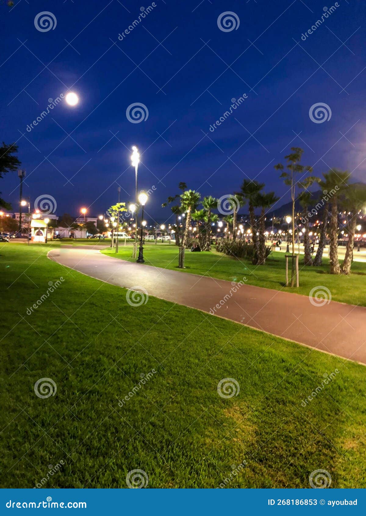Beauty of the Grass and the Light in a Public Park at Night Stock Image ...