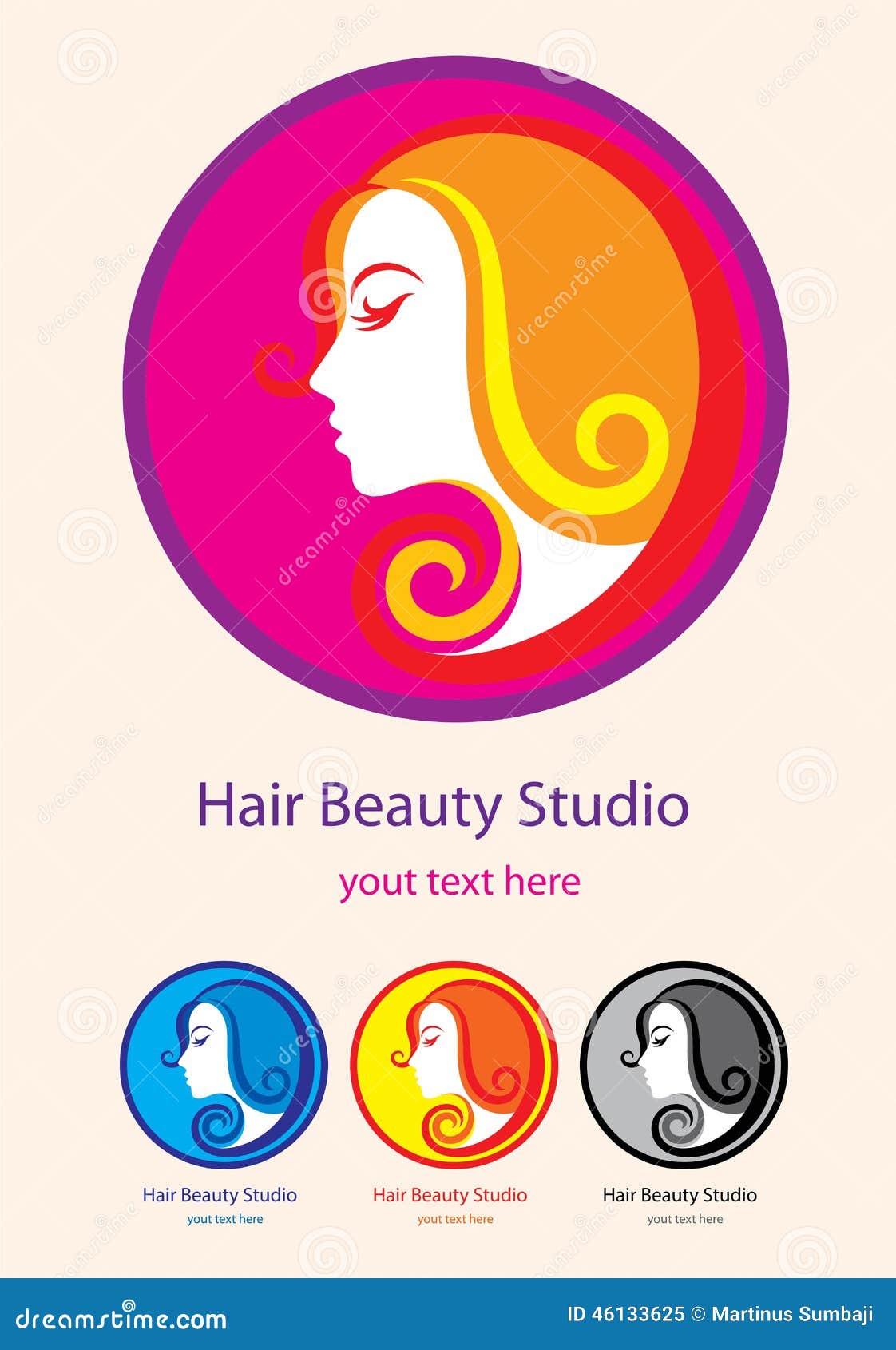 Beauty Hair Studio stock vector. Illustration of isolated - 46133625