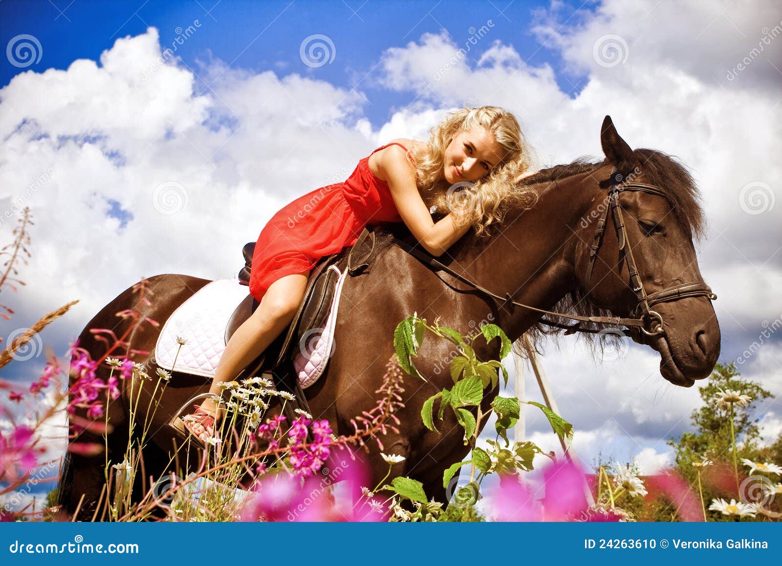 Beauty on horse stock photo. Image of people, blossom - 24263610