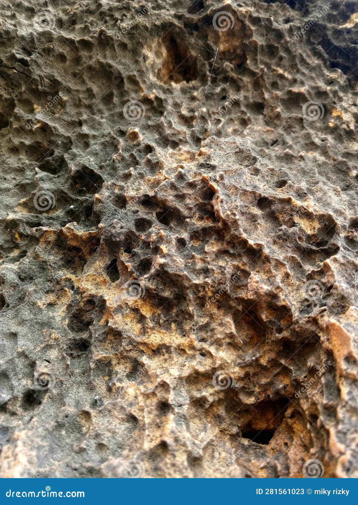 The Beauty of Layers of Rock with Holes on the Beach on August Stock ...