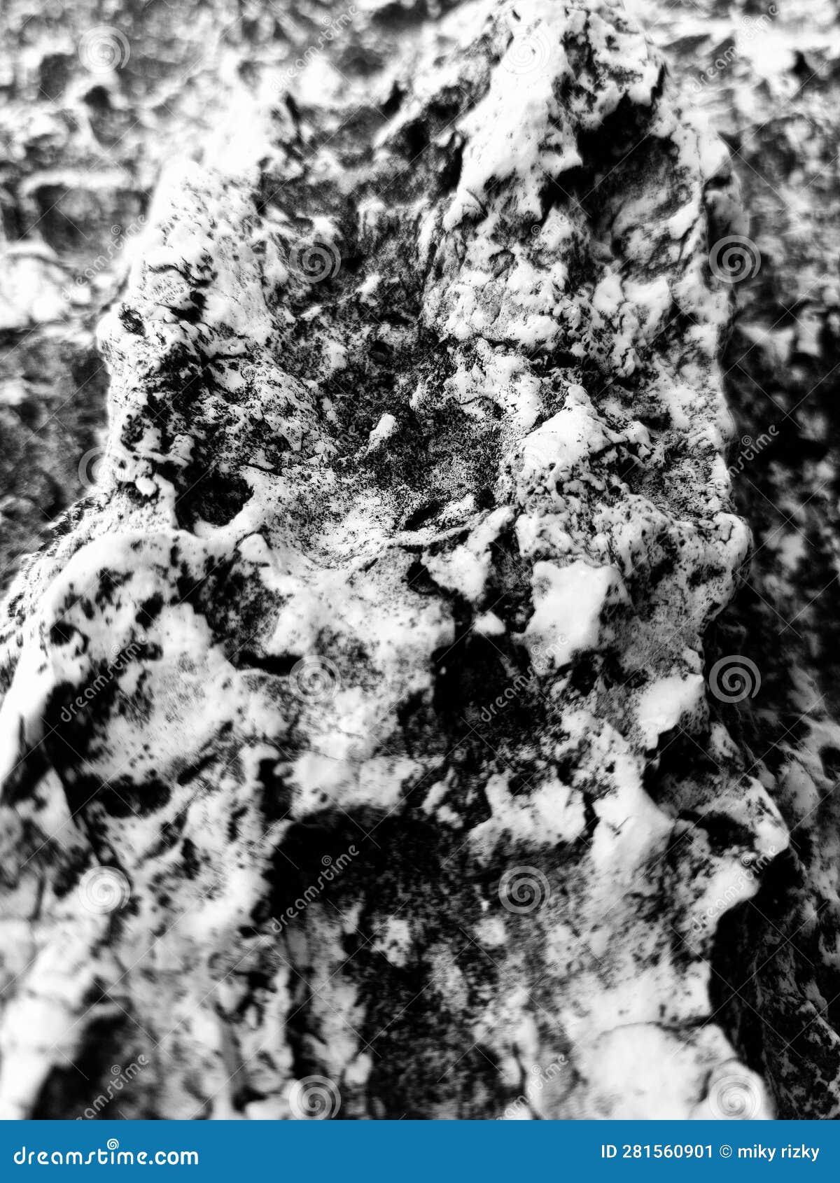 The Beauty of Layers of Rock with Holes on the Beach on May 7 Stock ...