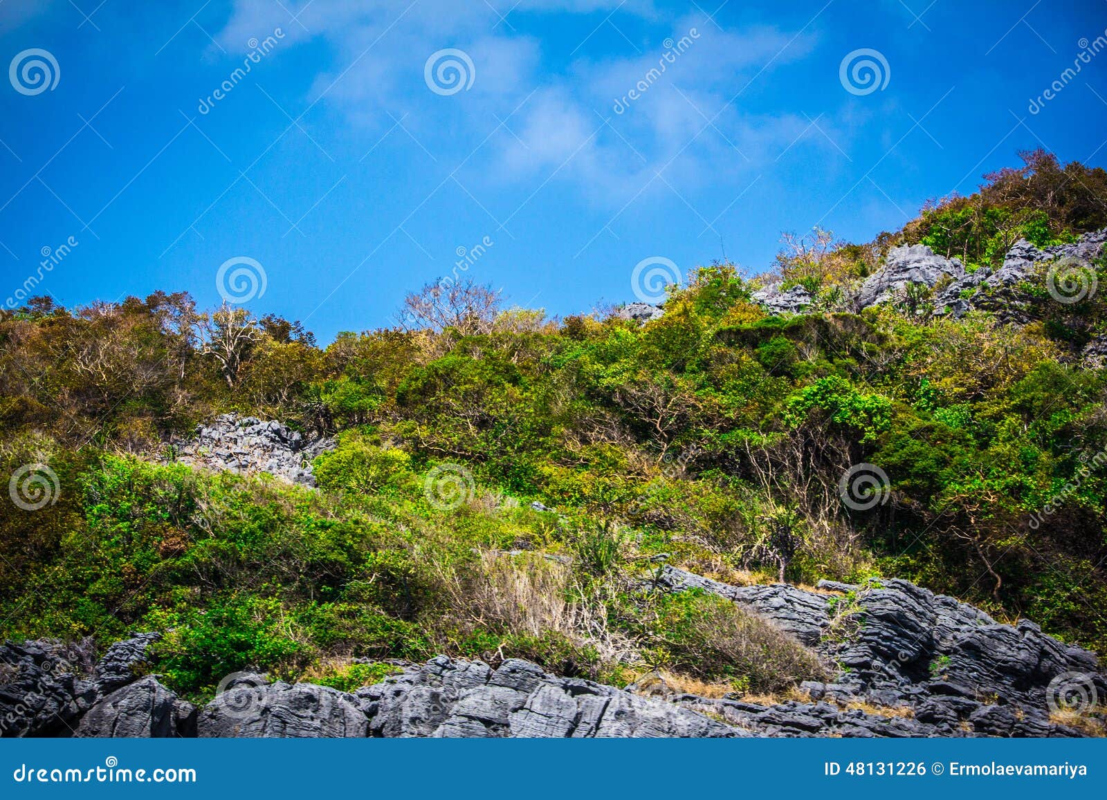 Beauty Limestone Rock in the Ocean Stock Photo - Image of landscape ...