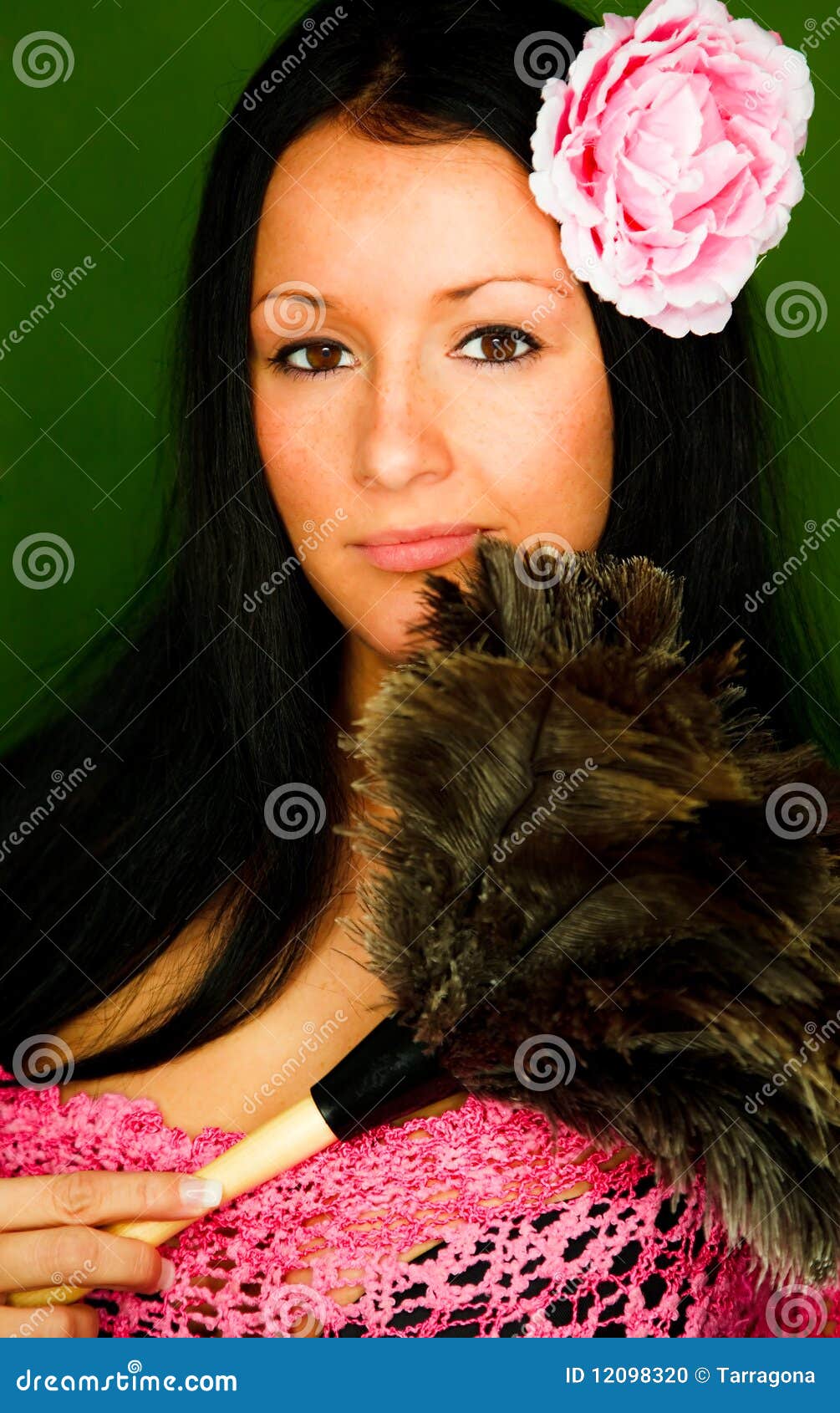 Beauty maid stock photo. Image of expression, apron, housewife - 12098320